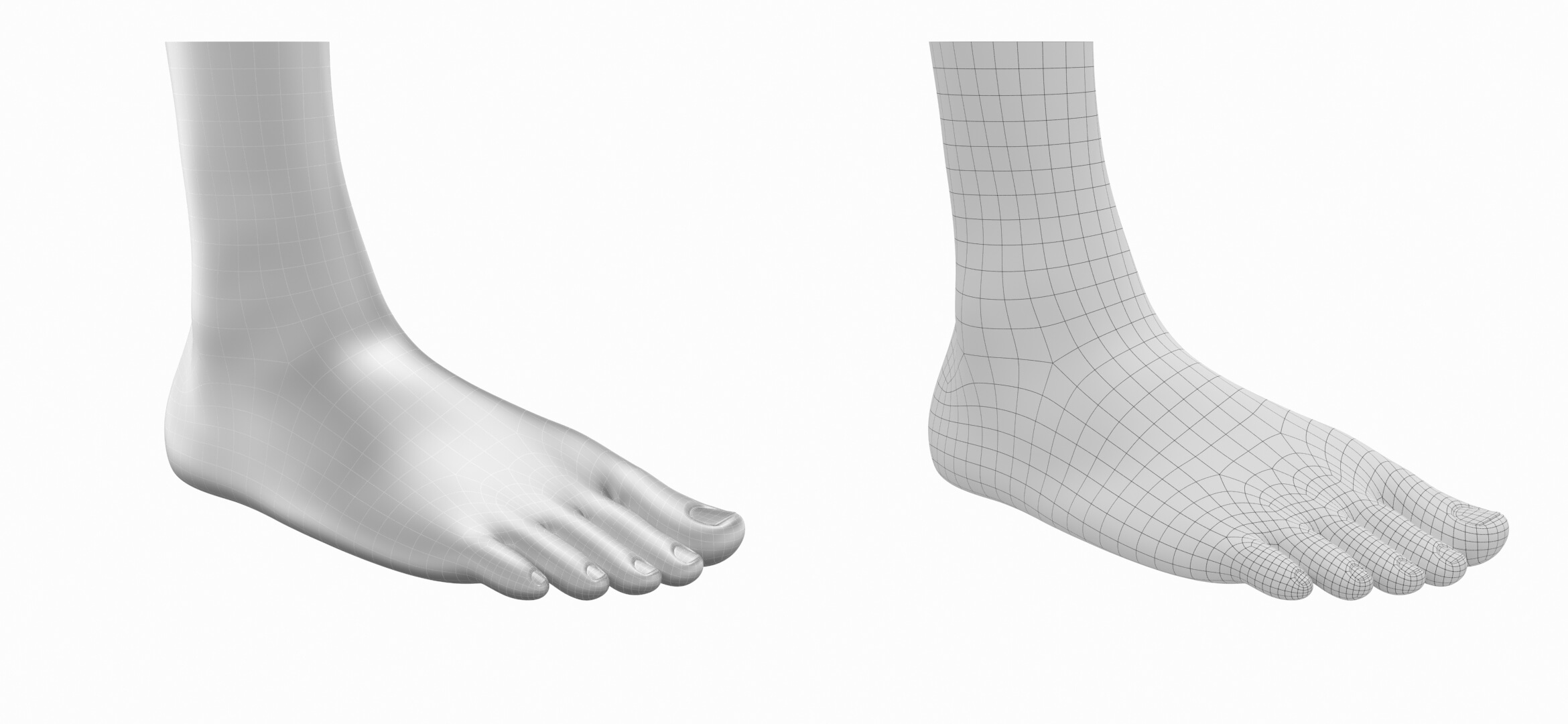 Human Feet in Standing Position Base Mesh - 3D Model by Valerii-Kaliuzhnyi