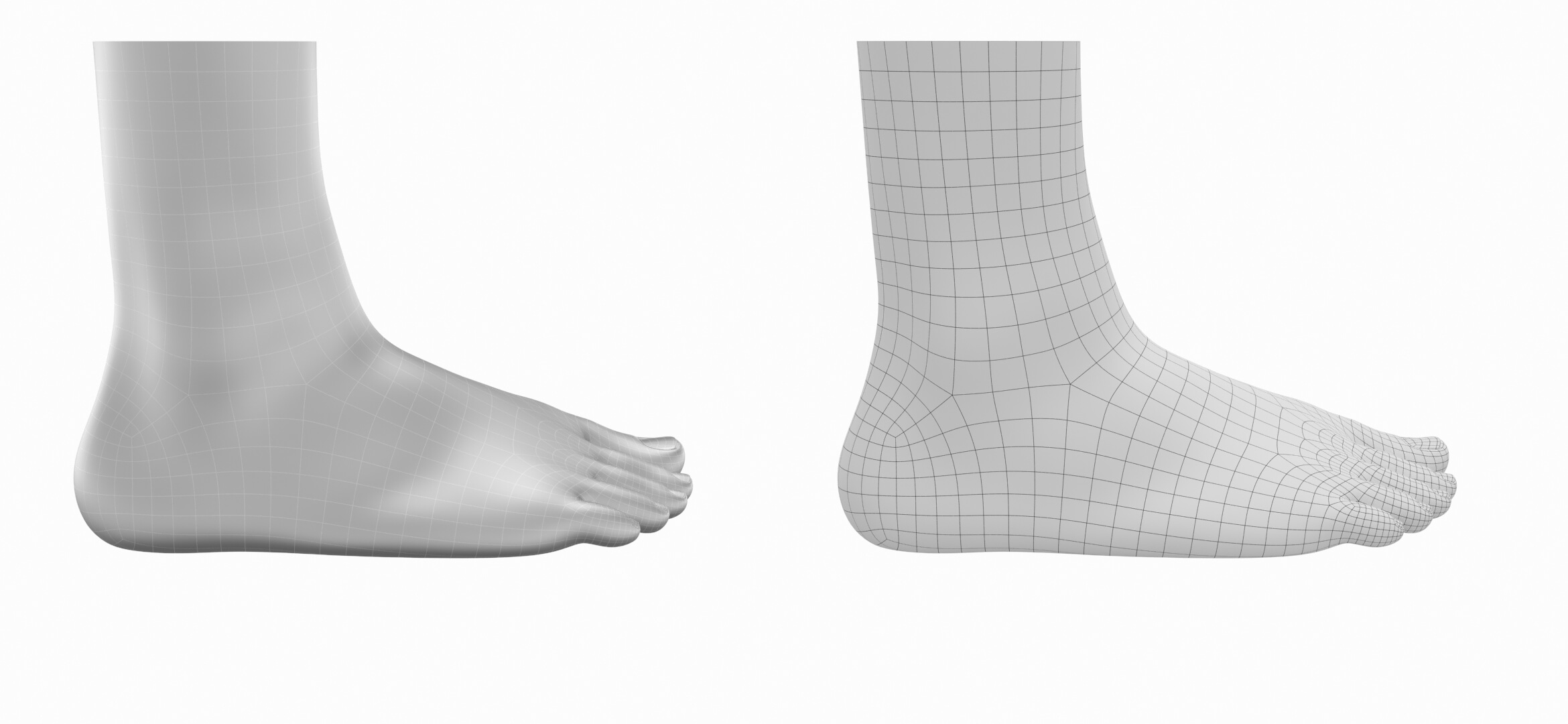 Human Feet in Standing Position Base Mesh - 3D Model by Valerii-Kaliuzhnyi