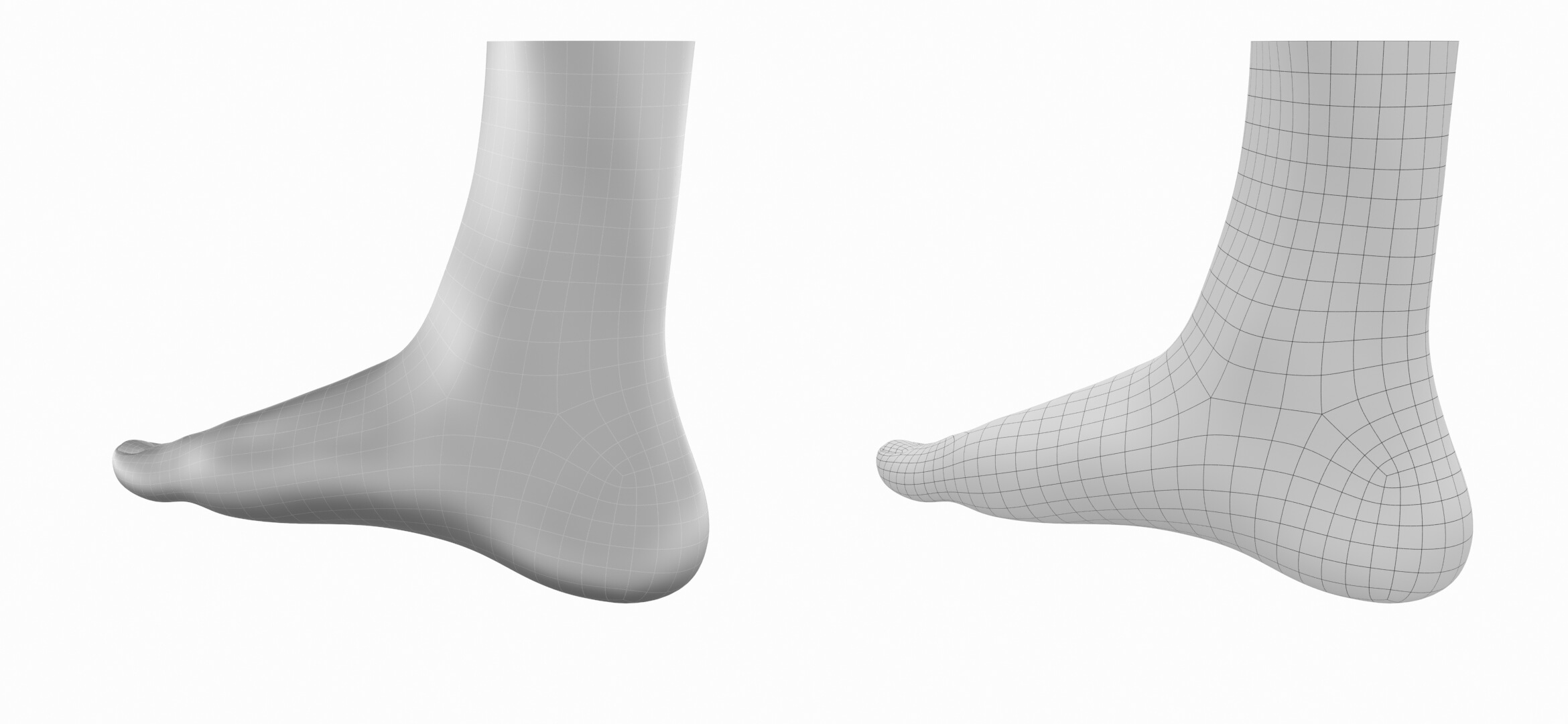 Human Feet in Standing Position Base Mesh - 3D Model by Valerii-Kaliuzhnyi