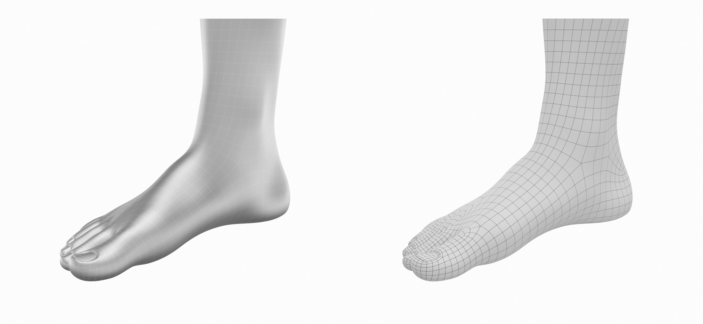 Human Feet in Standing Position Base Mesh - 3D Model by Valerii-Kaliuzhnyi