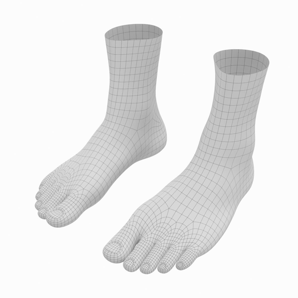 Human Feet in Standing Position Base Mesh - 3D Model by Valerii-Kaliuzhnyi