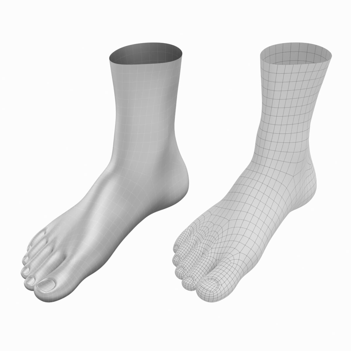 Human Feet in Standing Position Base Mesh - 3D Model by Valerii-Kaliuzhnyi