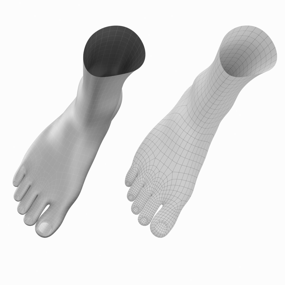 Human Feet in Standing Position Base Mesh - 3D Model by Valerii-Kaliuzhnyi