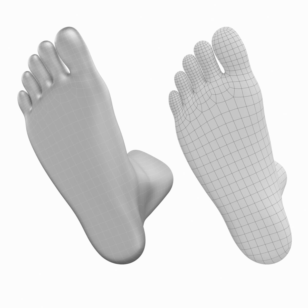 Human Feet in Standing Position Base Mesh - 3D Model by Valerii-Kaliuzhnyi