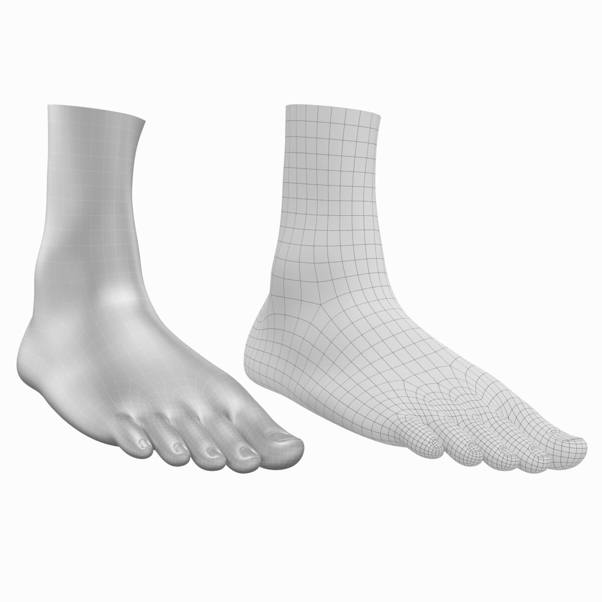 Human Feet in Standing Position Base Mesh - 3D Model by Valerii-Kaliuzhnyi