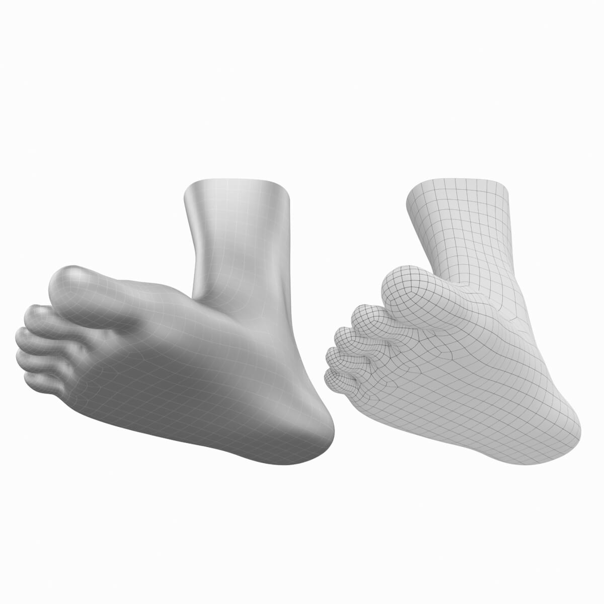 Human Feet in Standing Position Base Mesh - 3D Model by Valerii-Kaliuzhnyi