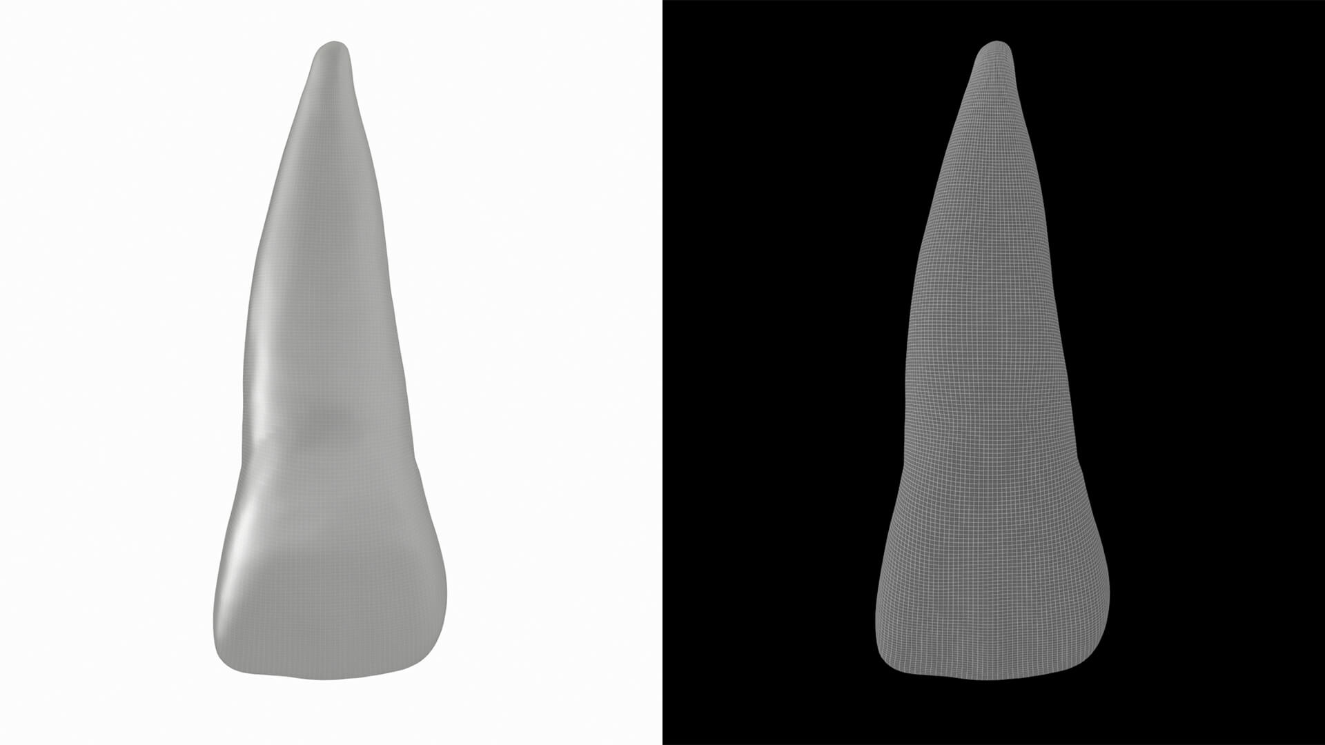 Human Upper Left Central Incisor Tooth - 3D Model by Valerii-Kaliuzhnyi