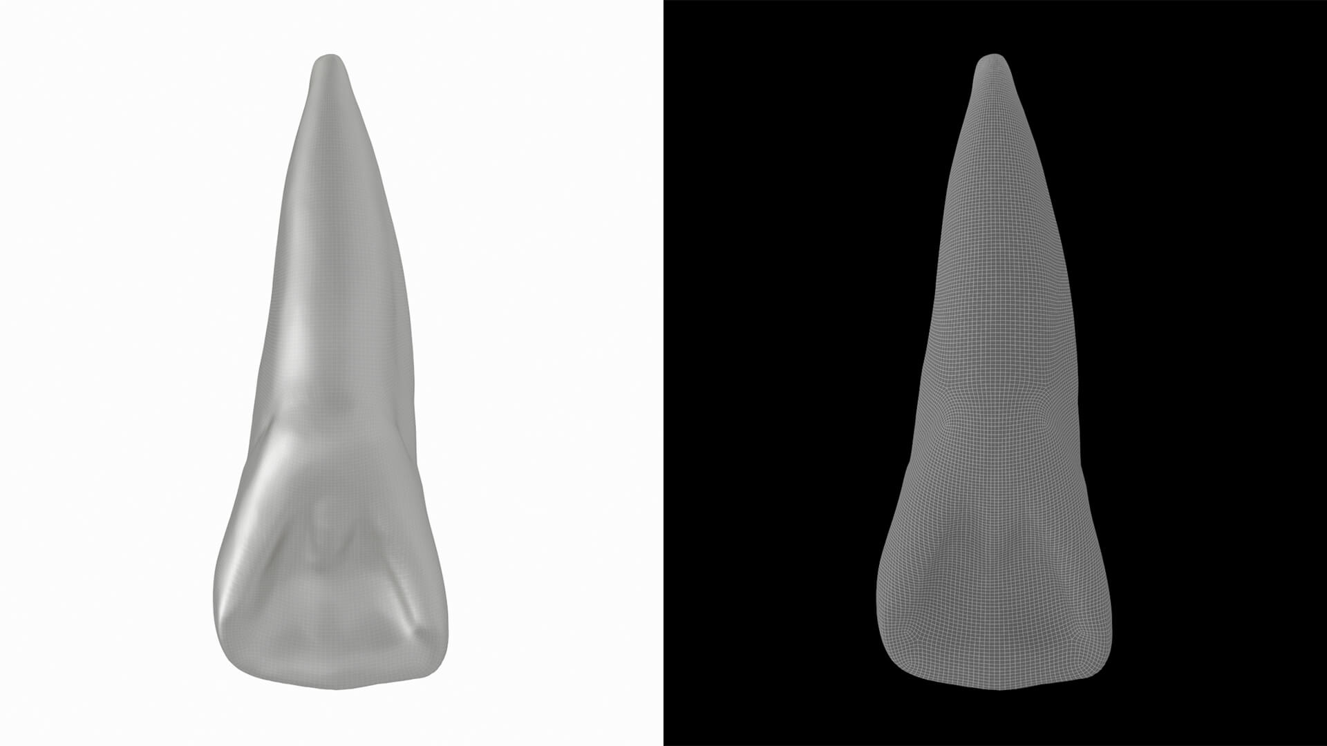 Human Upper Left Central Incisor Tooth - 3D Model by Valerii-Kaliuzhnyi