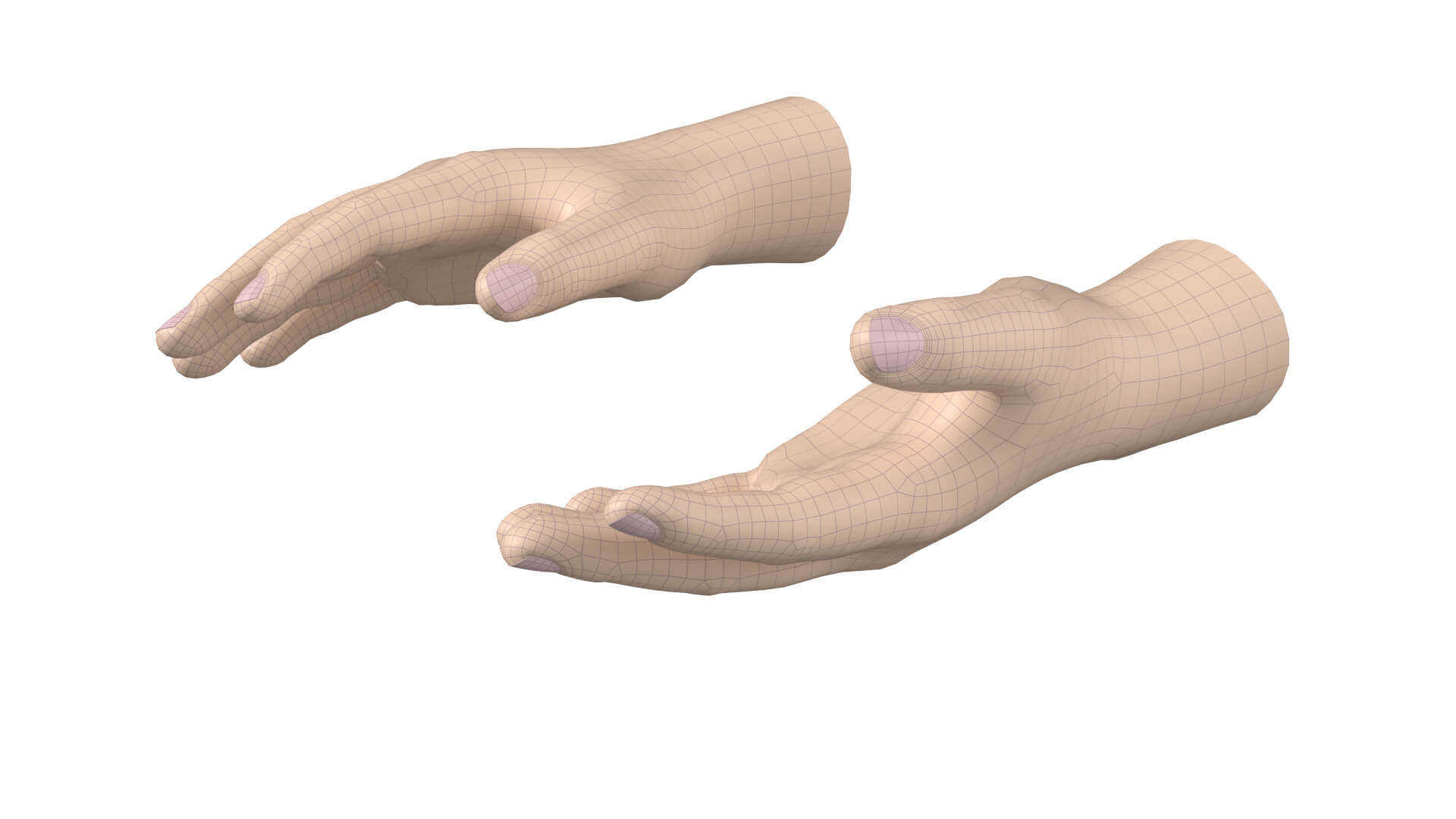 Male Hand Base Mesh 01 - 3D Model by Valerii-Kaliuzhnyi