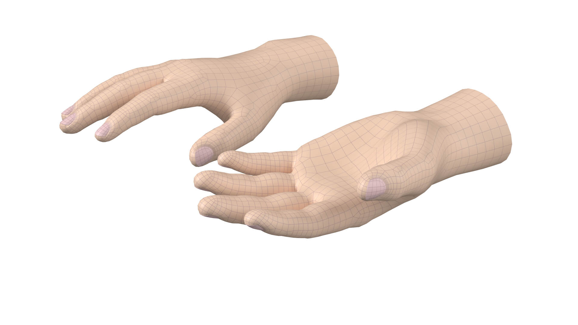 Male Hand Base Mesh 01 - 3D Model by Valerii-Kaliuzhnyi