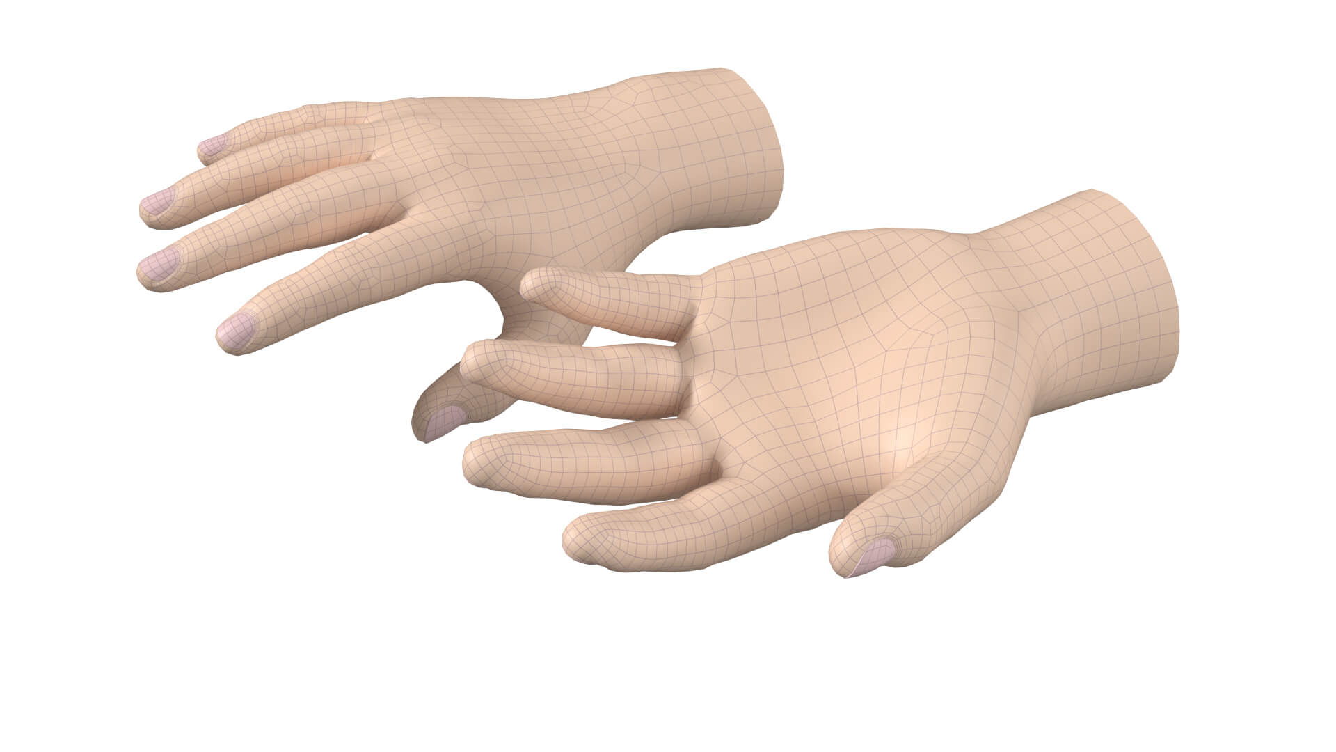 Male Hand Base Mesh 01 - 3D Model by Valerii-Kaliuzhnyi