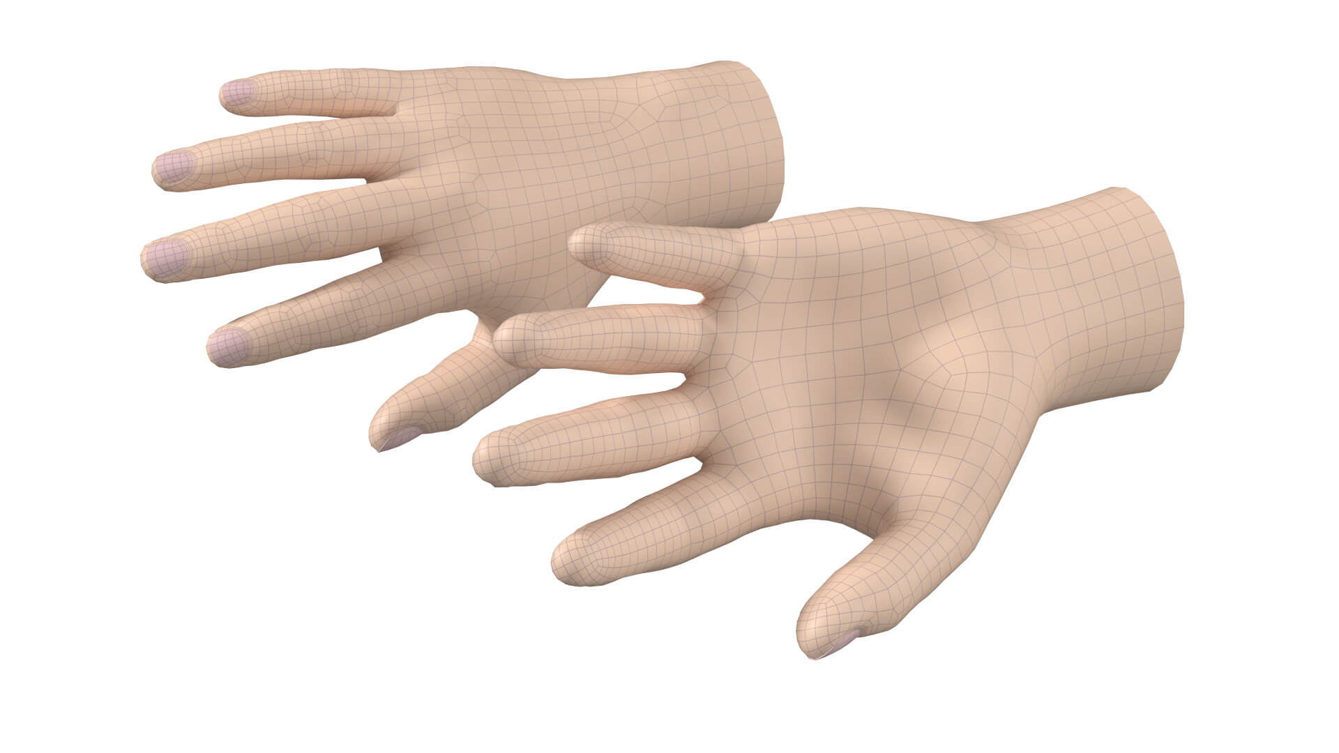 Male Hand Base Mesh 01 - 3D Model by Valerii-Kaliuzhnyi