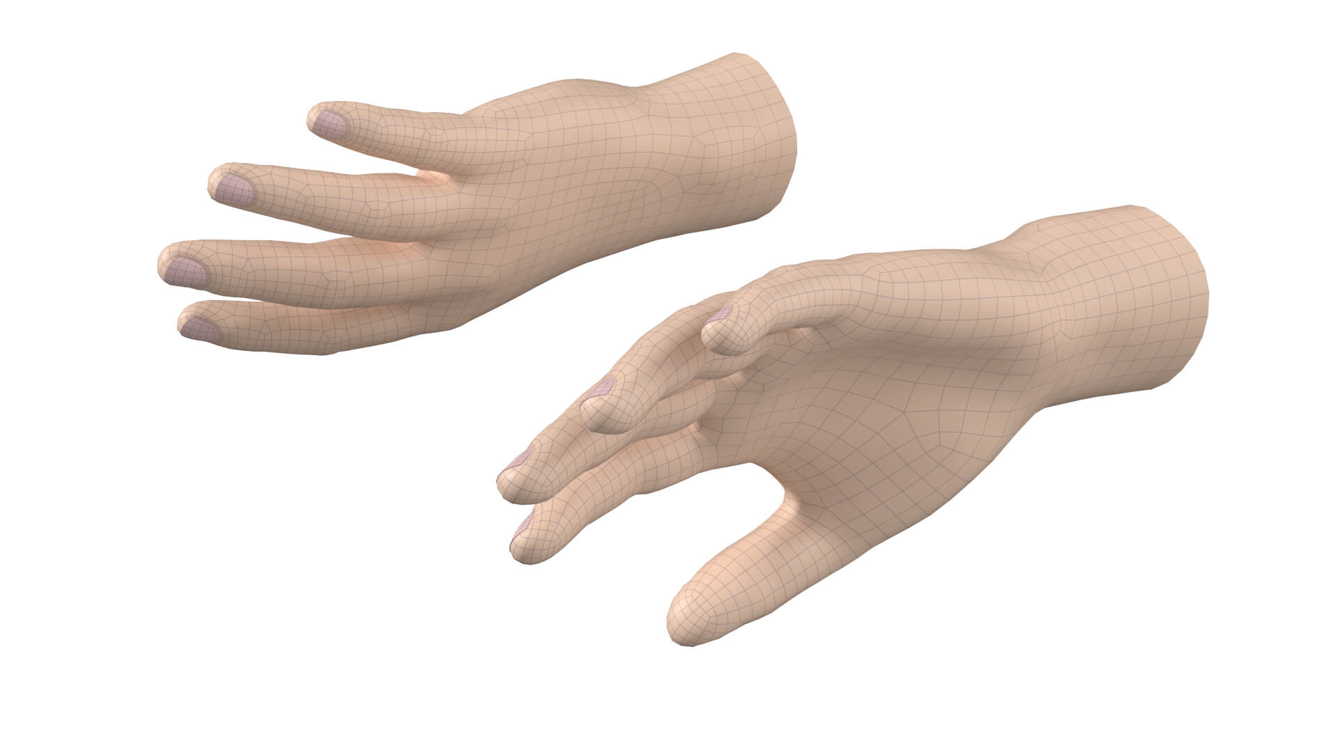 Male Hand Base Mesh 01 - 3D Model by Valerii-Kaliuzhnyi