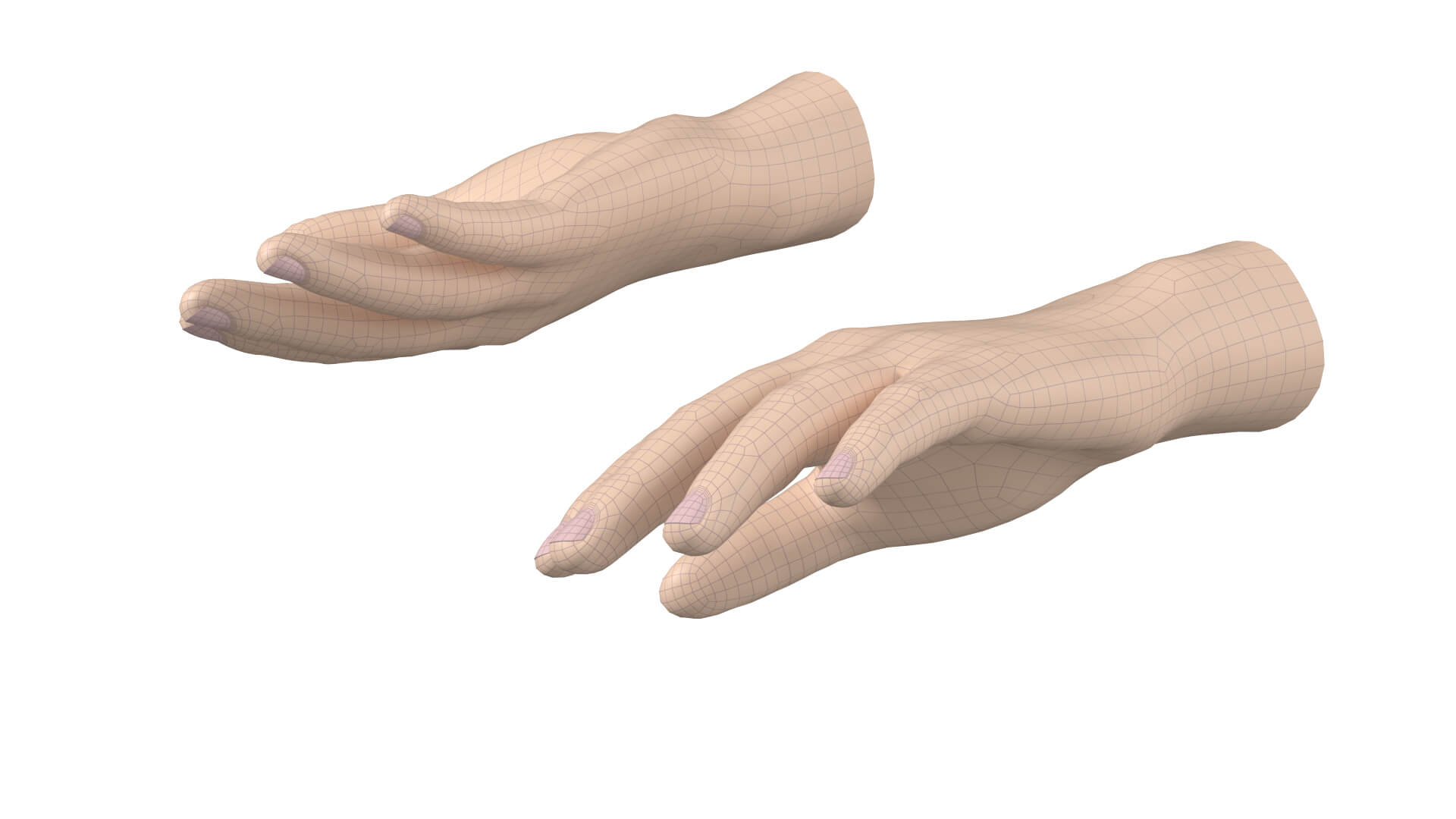 Male Hand Base Mesh 01 - 3D Model by Valerii-Kaliuzhnyi