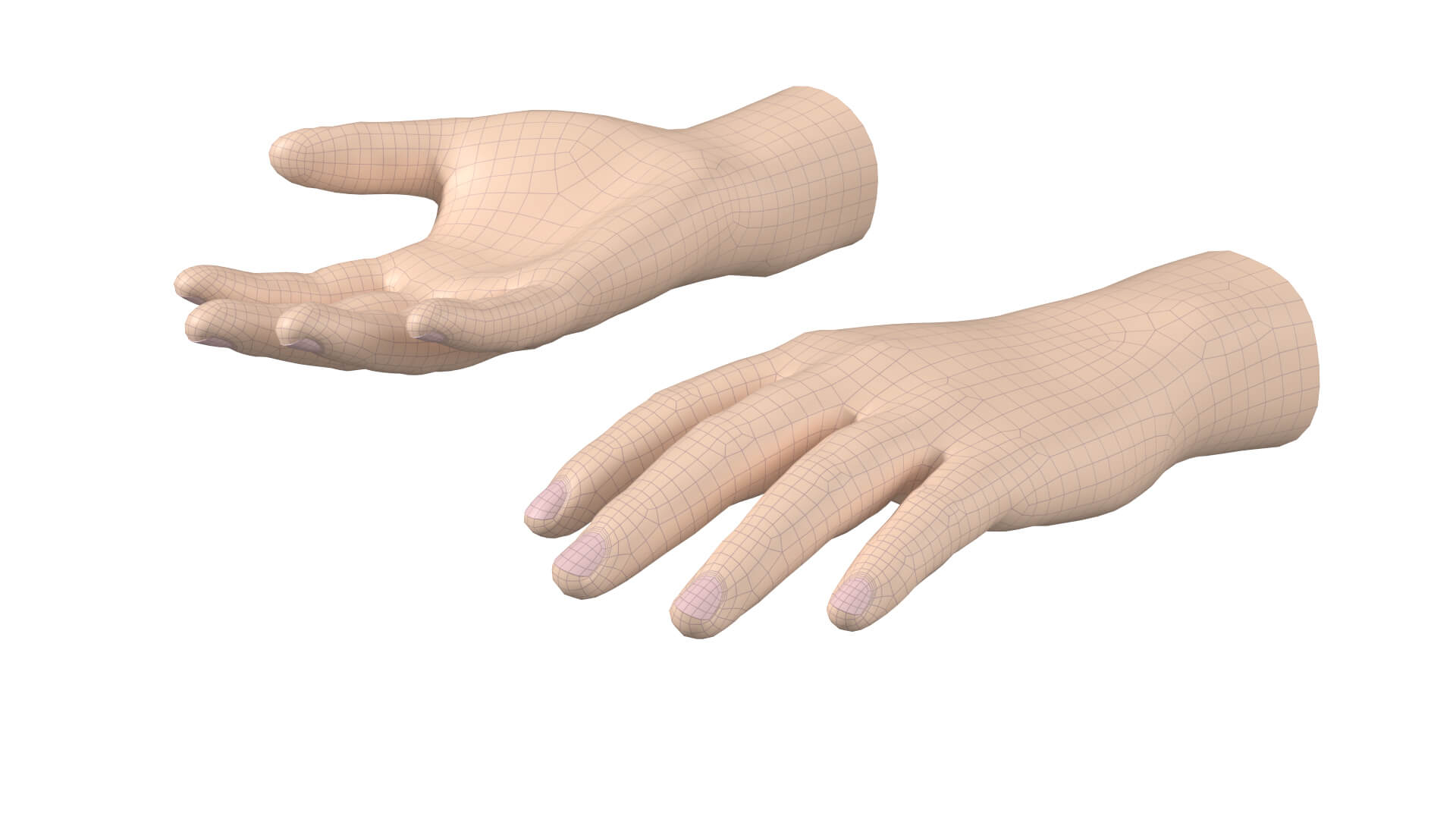 Male Hand Base Mesh 01 - 3D Model by Valerii-Kaliuzhnyi