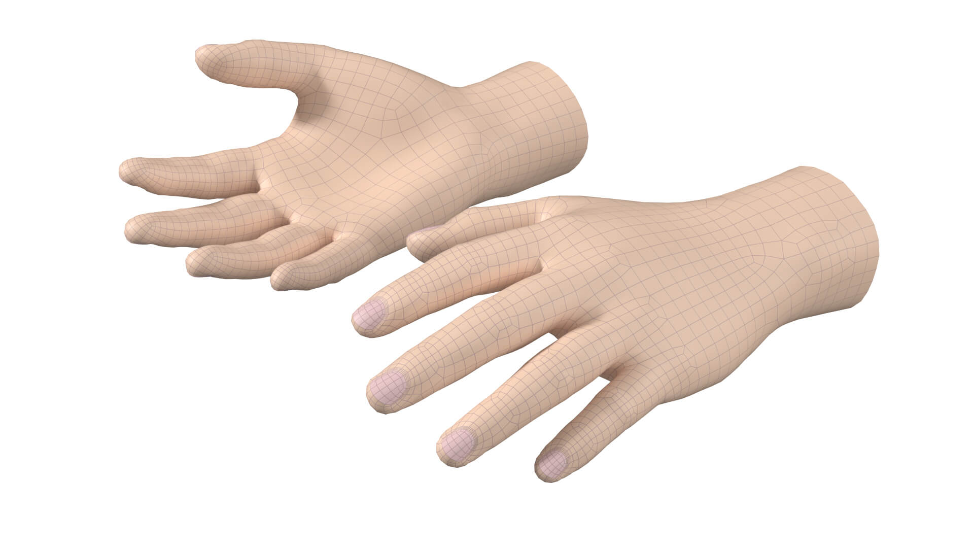 Male Hand Base Mesh 01 - 3D Model by Valerii-Kaliuzhnyi