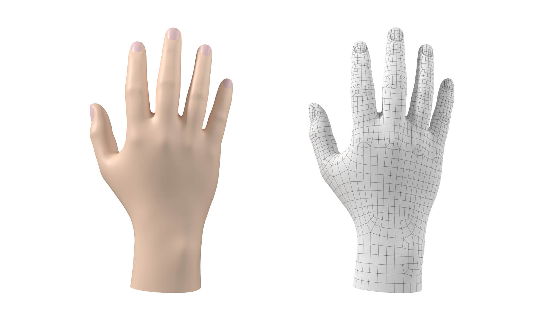 Male Hand Base Mesh 01 - 3D Model by Valerii-Kaliuzhnyi