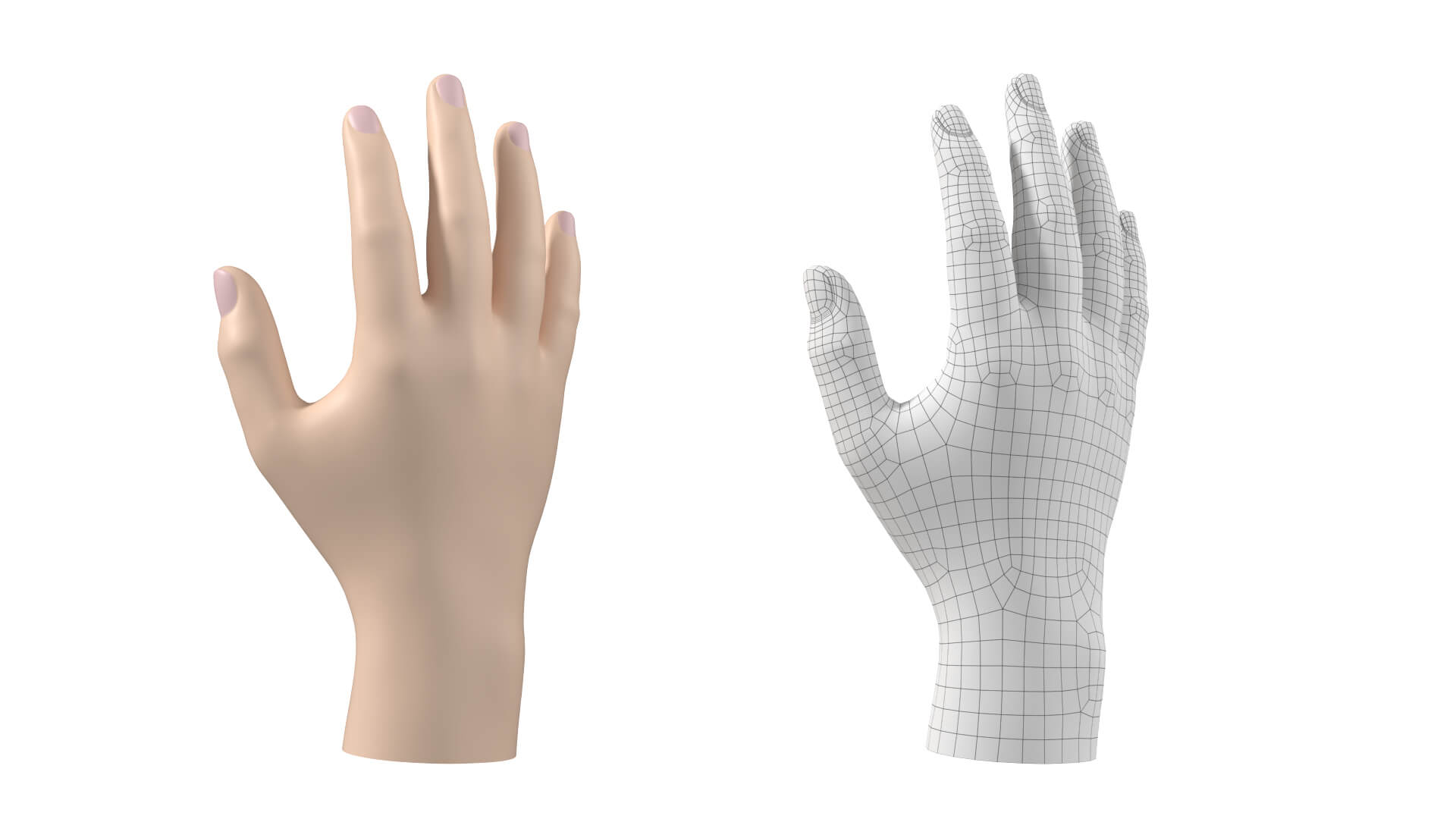 Male Hand Base Mesh 01 - 3D Model by Valerii-Kaliuzhnyi