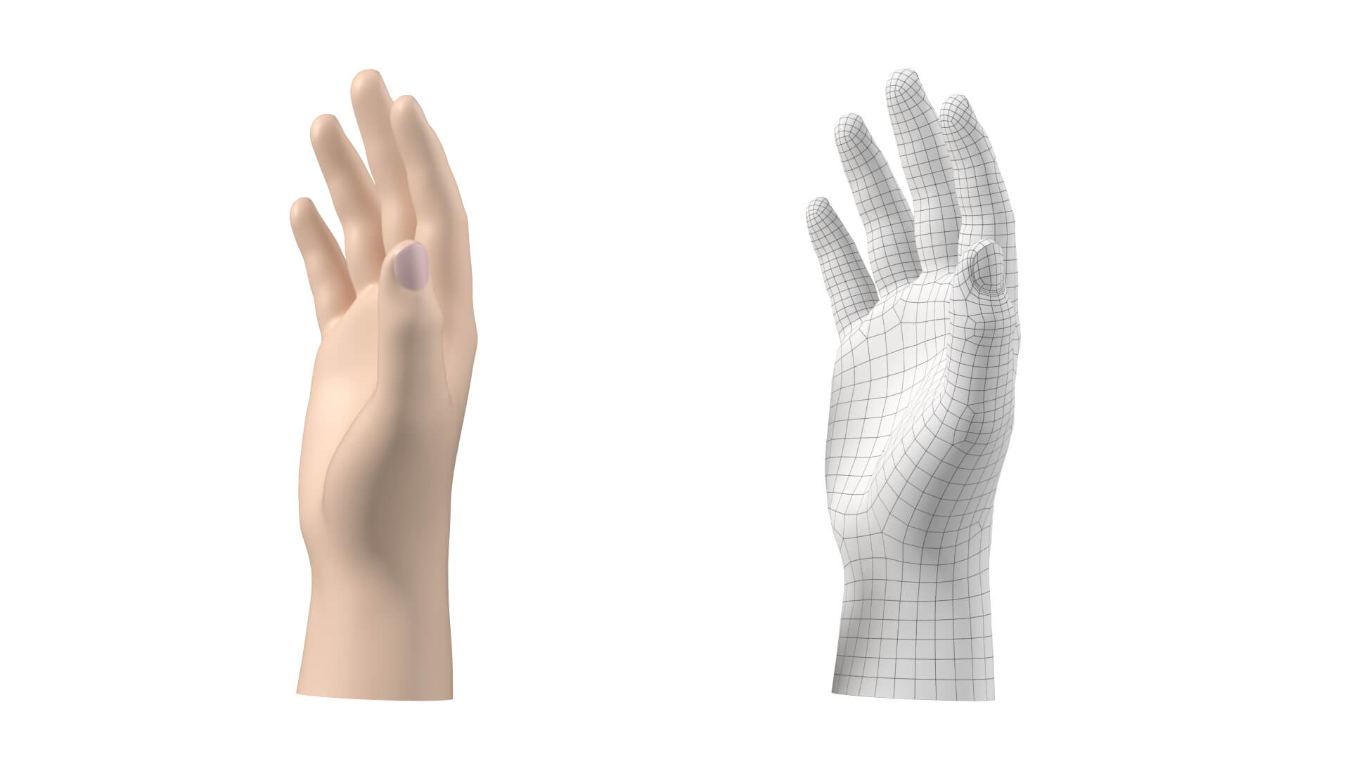 Male Hand Base Mesh 01 - 3D Model by Valerii-Kaliuzhnyi