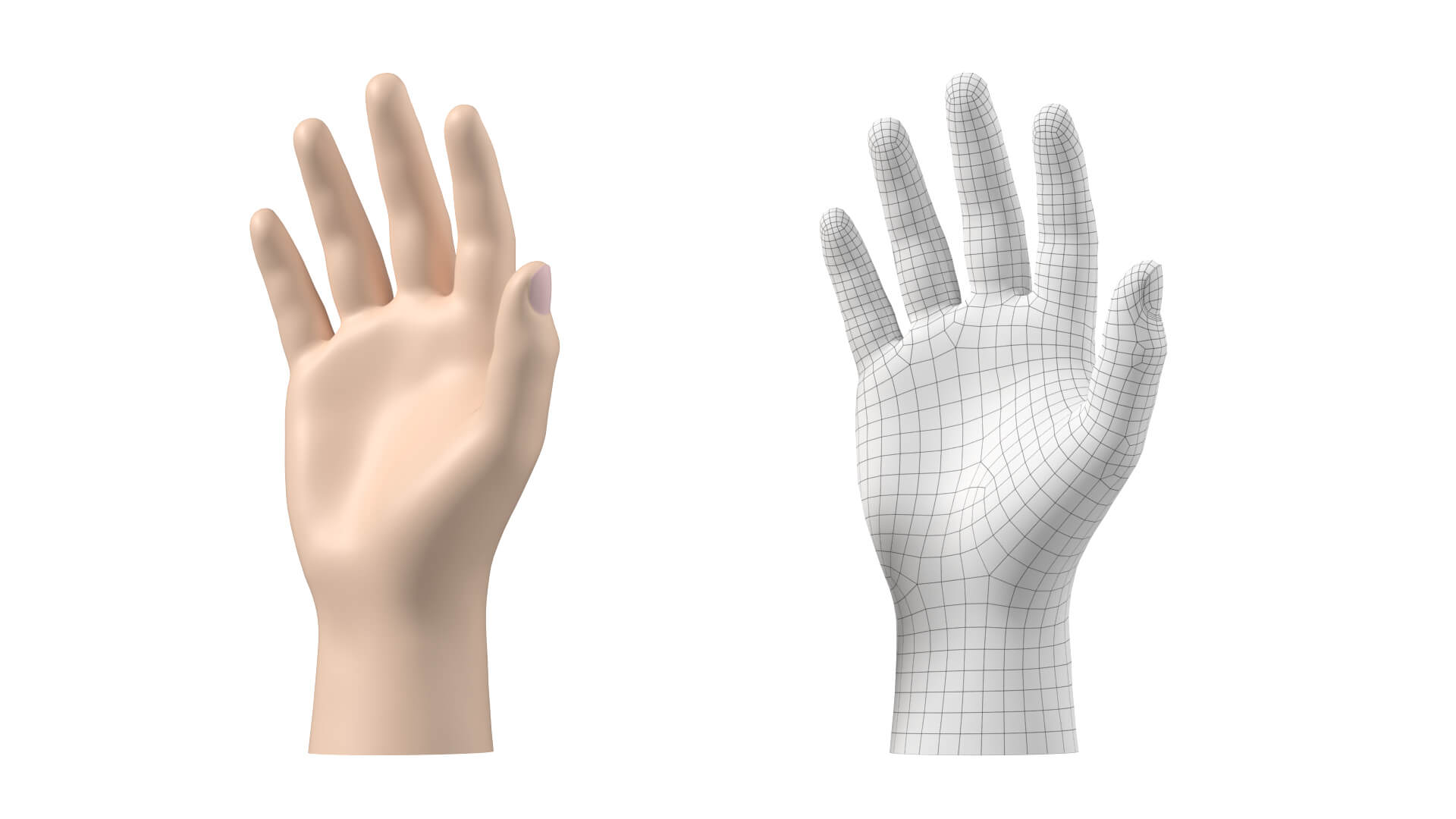 Male Hand Base Mesh 01 - 3D Model by Valerii-Kaliuzhnyi