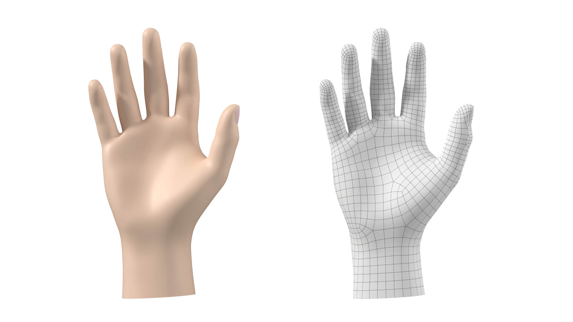 Male Hand Base Mesh 01 - 3D Model by Valerii-Kaliuzhnyi