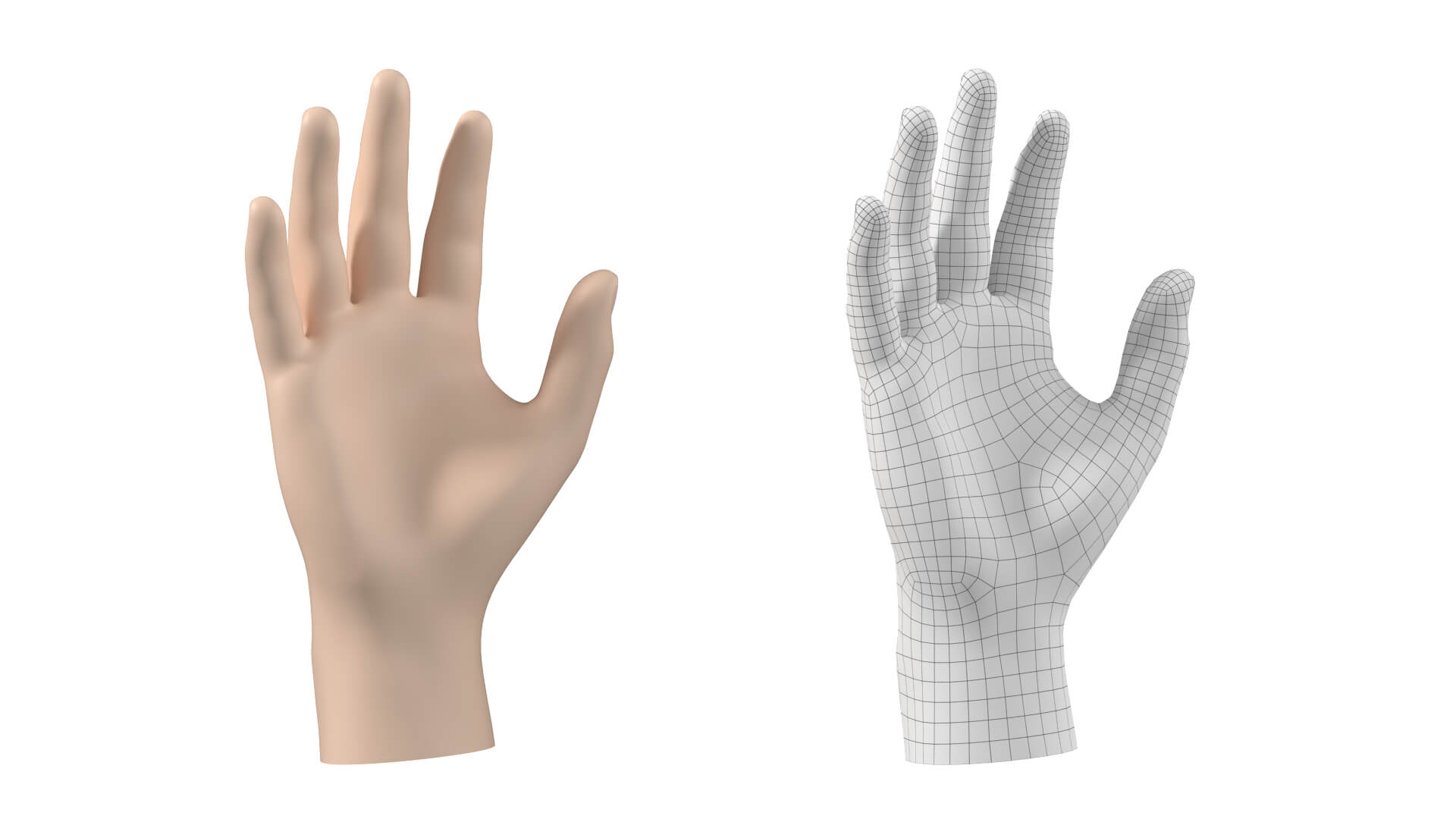 Male Hand Base Mesh 01 - 3D Model by Valerii-Kaliuzhnyi