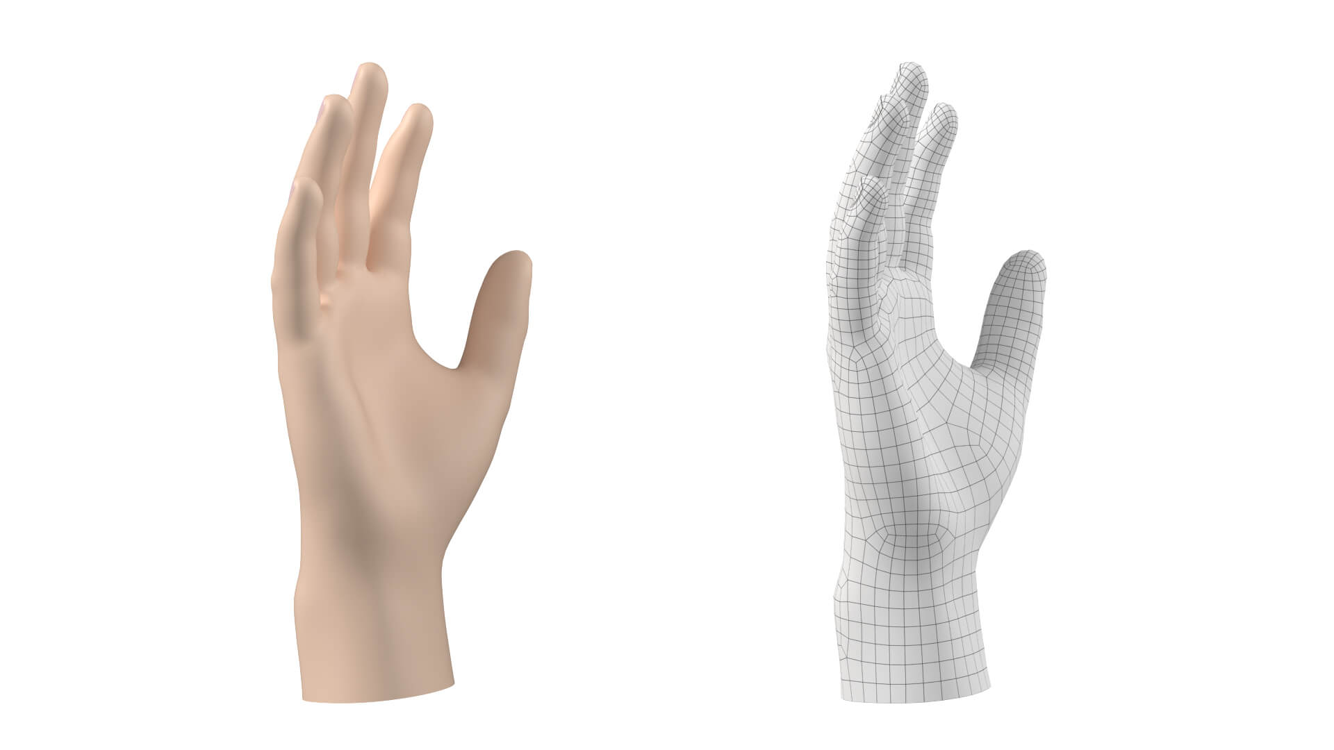 Male Hand Base Mesh 01 - 3D Model by Valerii-Kaliuzhnyi