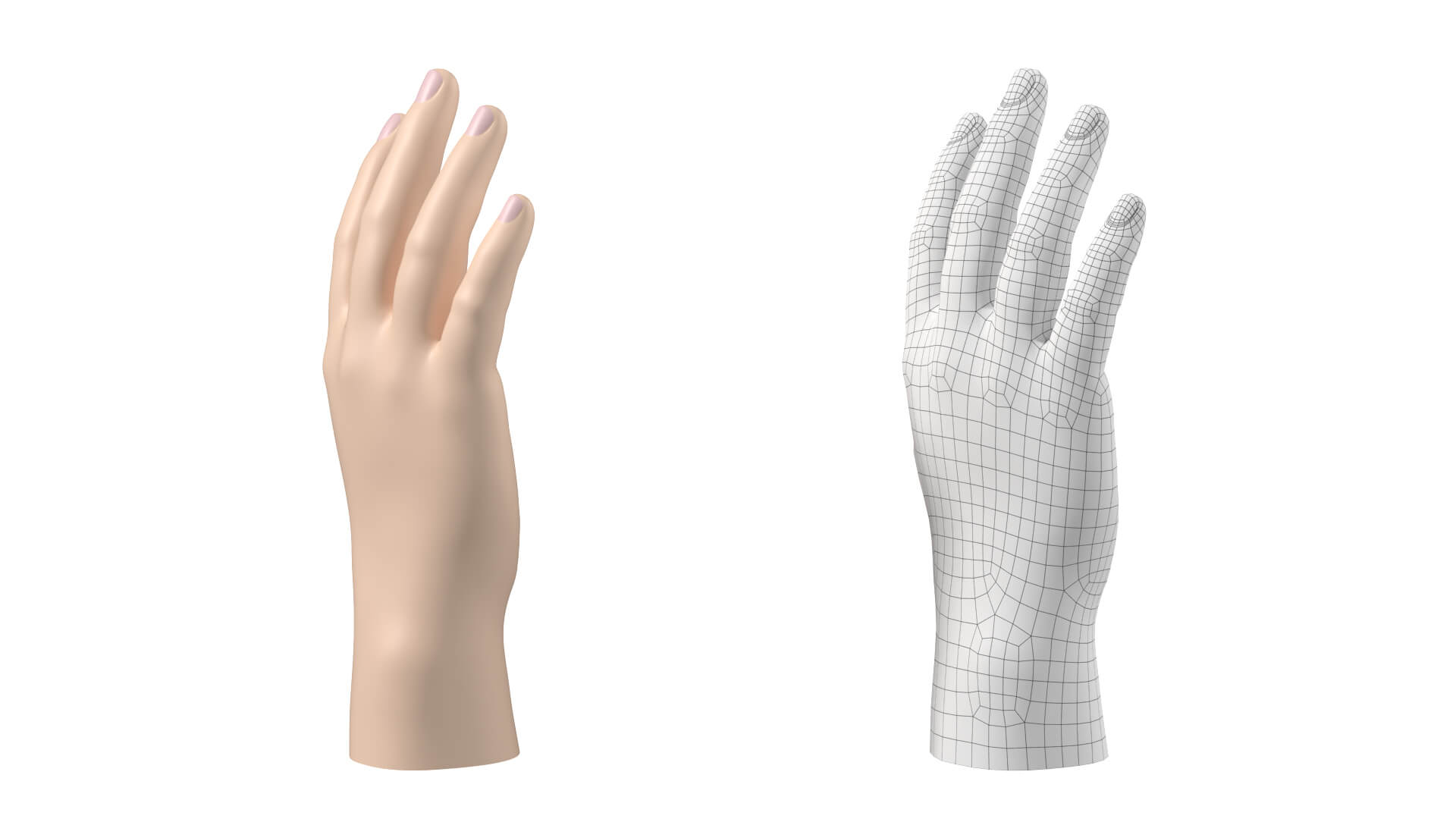 Male Hand Base Mesh 01 - 3D Model by Valerii-Kaliuzhnyi