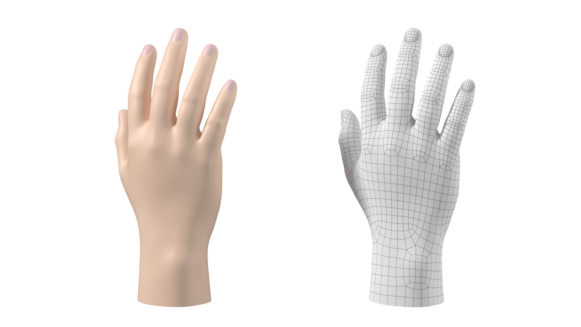 Male Hand Base Mesh 01 - 3D Model by Valerii-Kaliuzhnyi