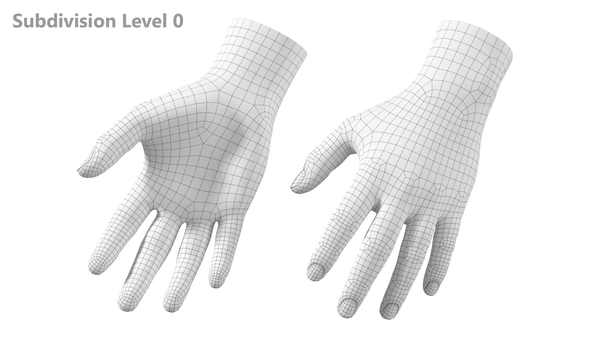 Male Hand Base Mesh 01 - 3D Model by Valerii-Kaliuzhnyi