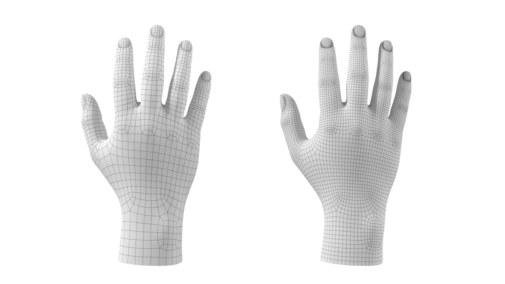 Male Hand Base Mesh 01 - 3D Model by Valerii-Kaliuzhnyi