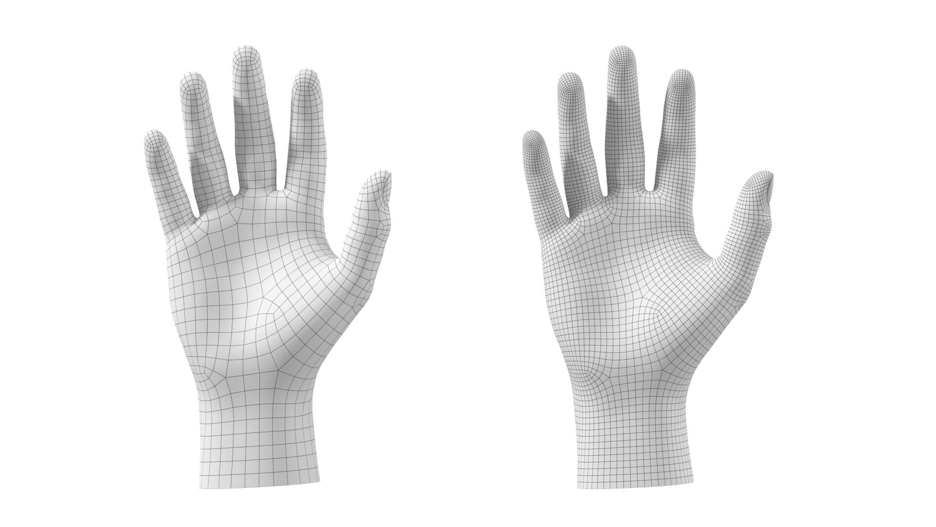 Male Hand Base Mesh 01 - 3D Model by Valerii-Kaliuzhnyi