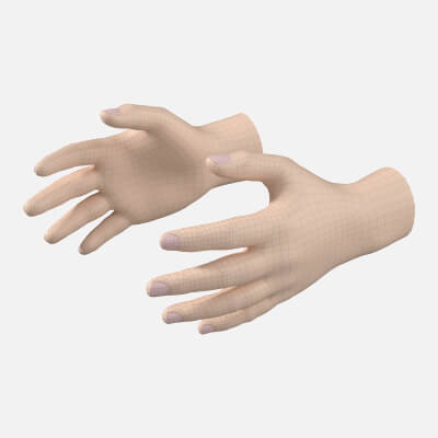 Male Hand Base Mesh 01 - 3D Model by Valerii-Kaliuzhnyi