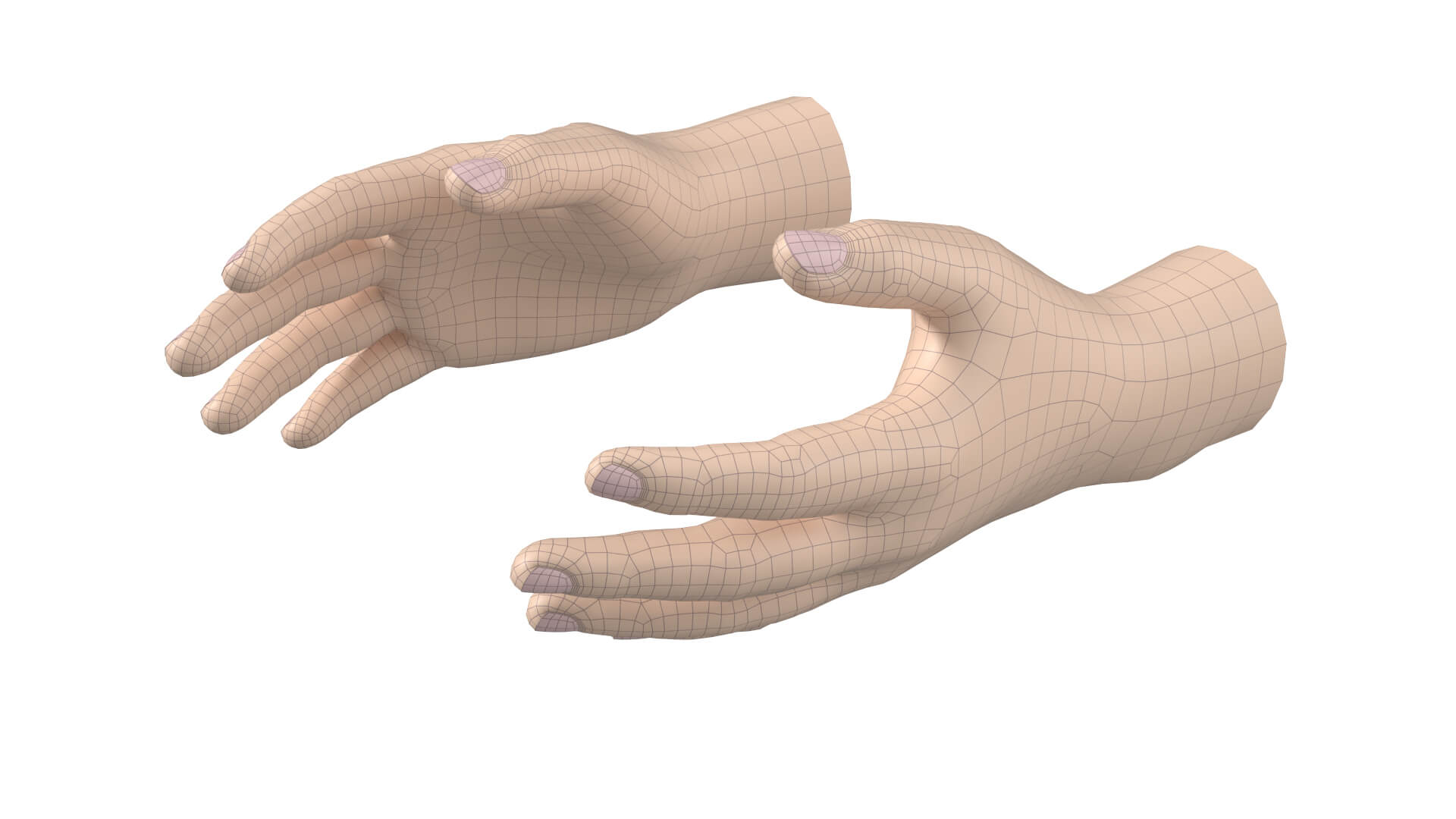 Male Hand Base Mesh 02 - 3D Model by Valerii-Kaliuzhnyi