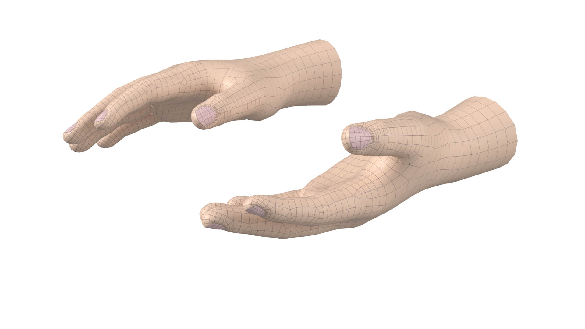 Male Hand Base Mesh 02 - 3D Model by Valerii-Kaliuzhnyi