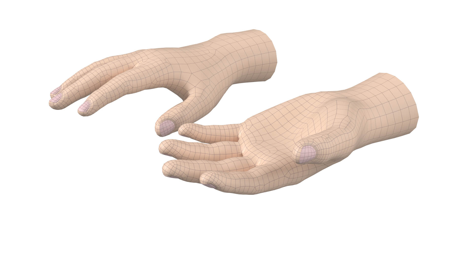 Male Hand Base Mesh 02 - 3D Model by Valerii-Kaliuzhnyi