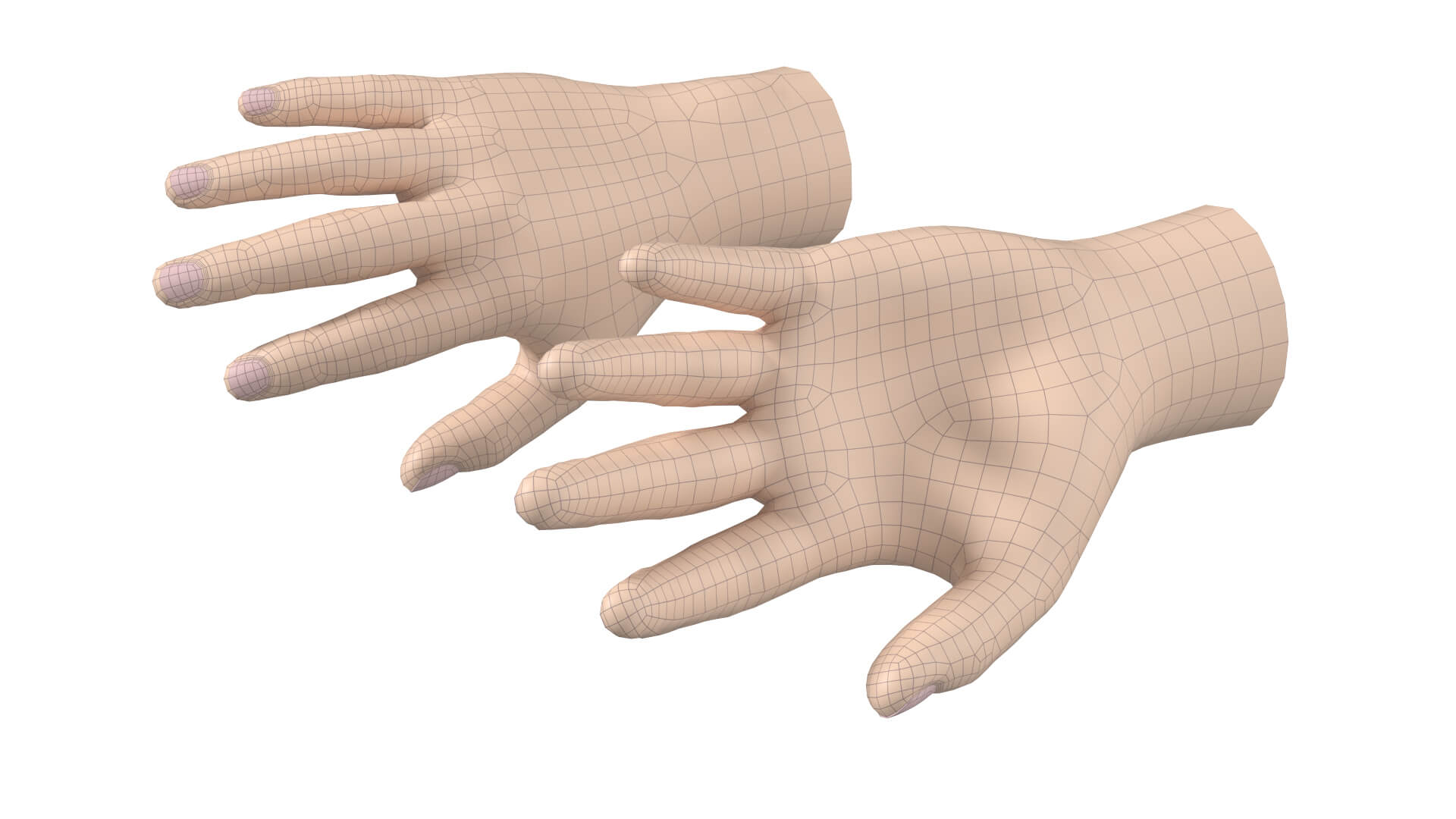 Male Hand Base Mesh 02 - 3D Model by Valerii-Kaliuzhnyi