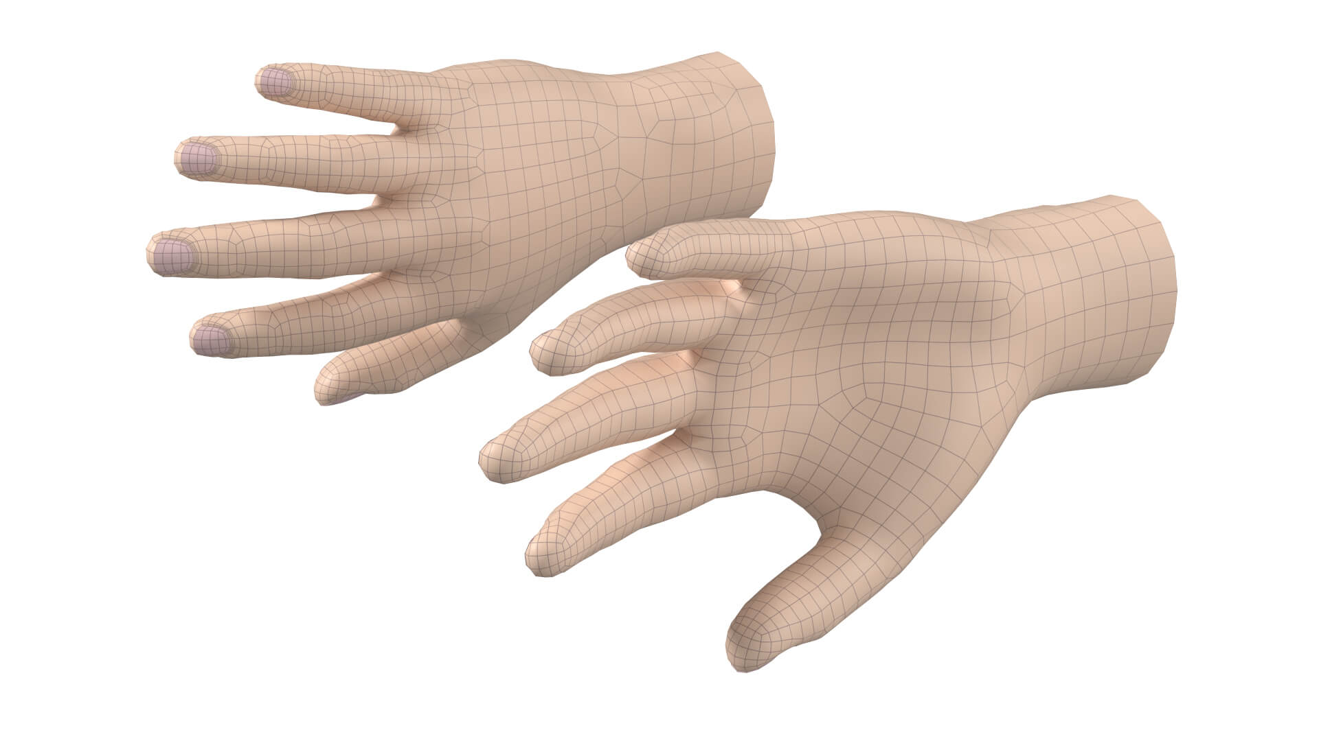 Male Hand Base Mesh 02 - 3D Model by Valerii-Kaliuzhnyi