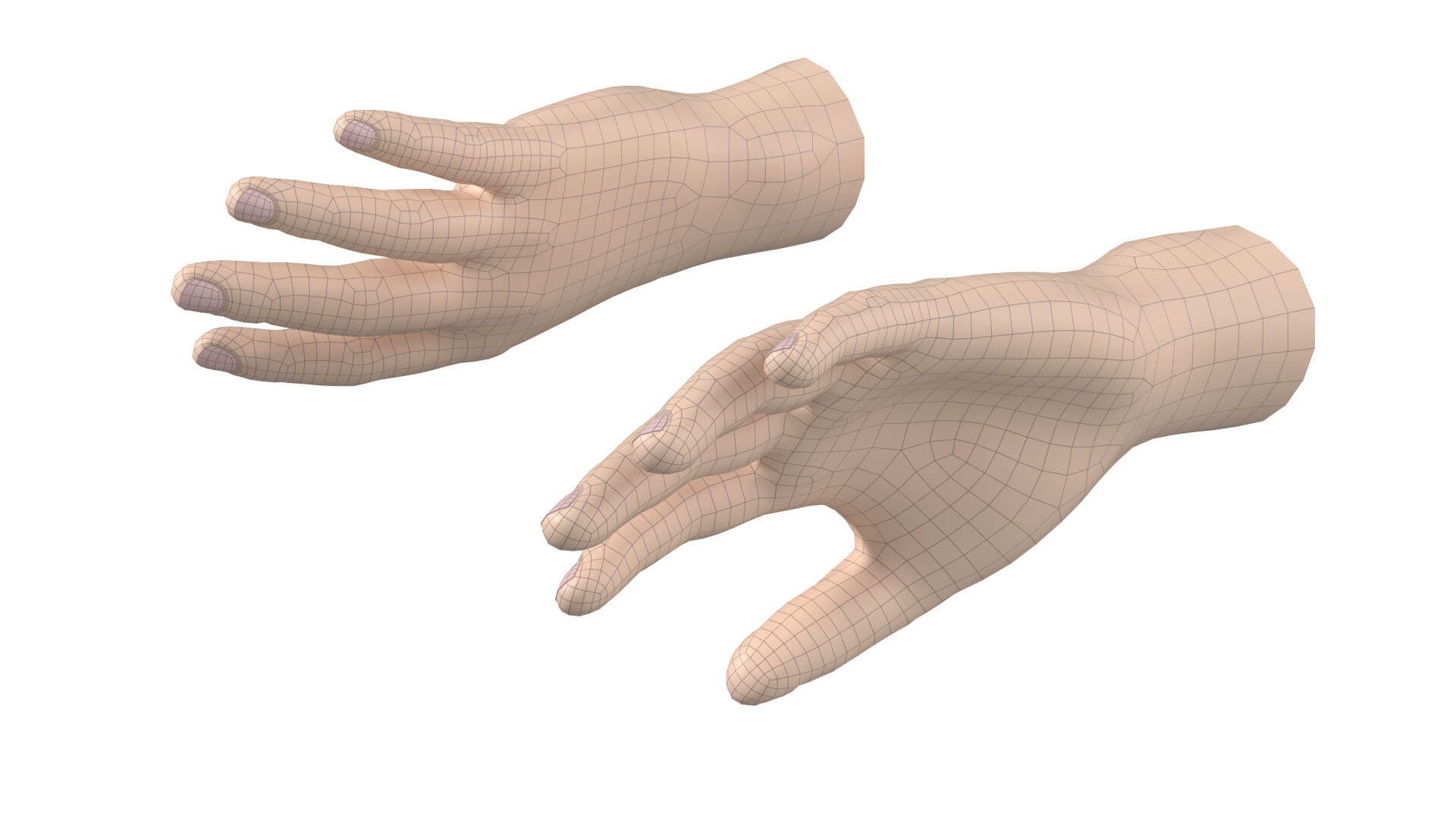 Male Hand Base Mesh 02 - 3D Model by Valerii-Kaliuzhnyi