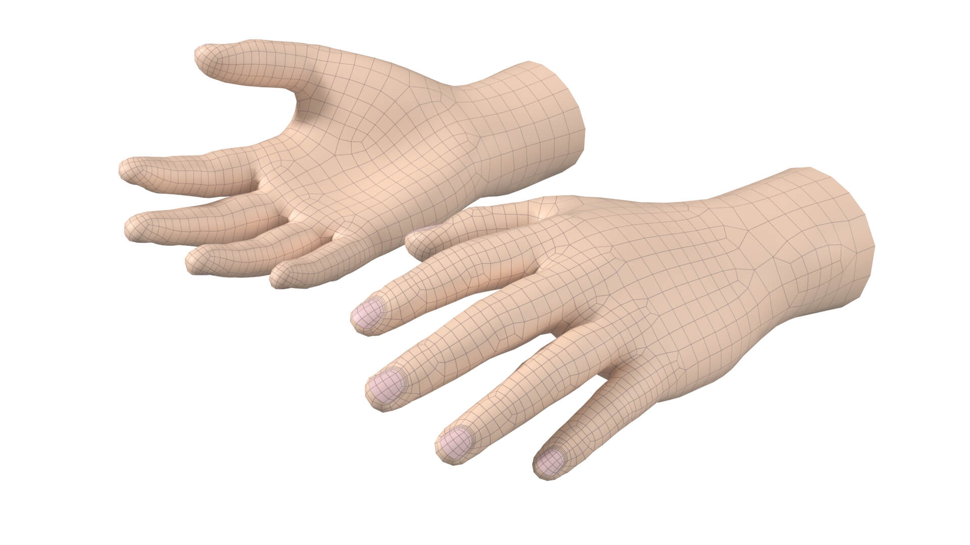 Male Hand Base Mesh 02 - 3D Model by Valerii-Kaliuzhnyi