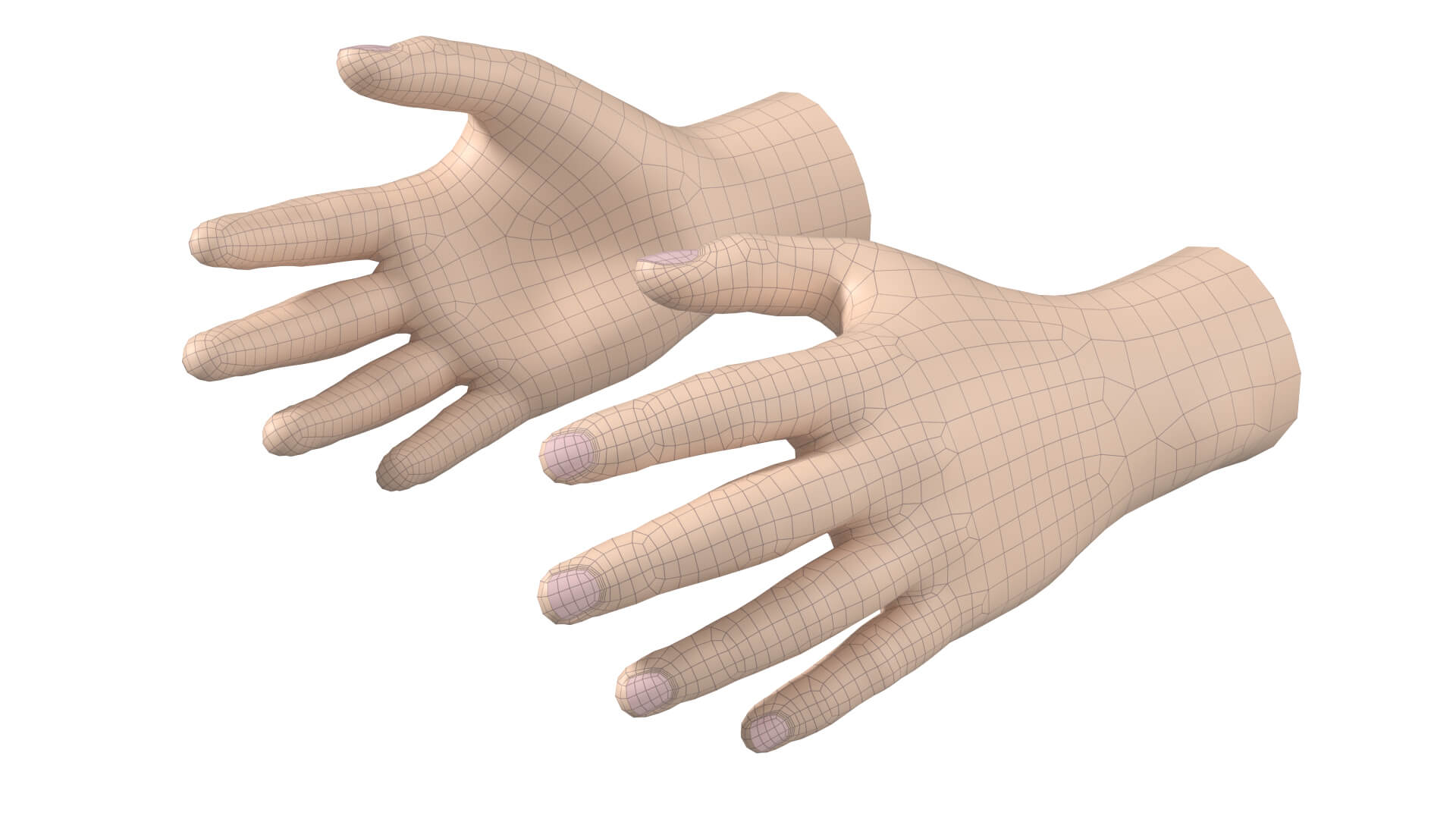 Male Hand Base Mesh 02 - 3D Model by Valerii-Kaliuzhnyi