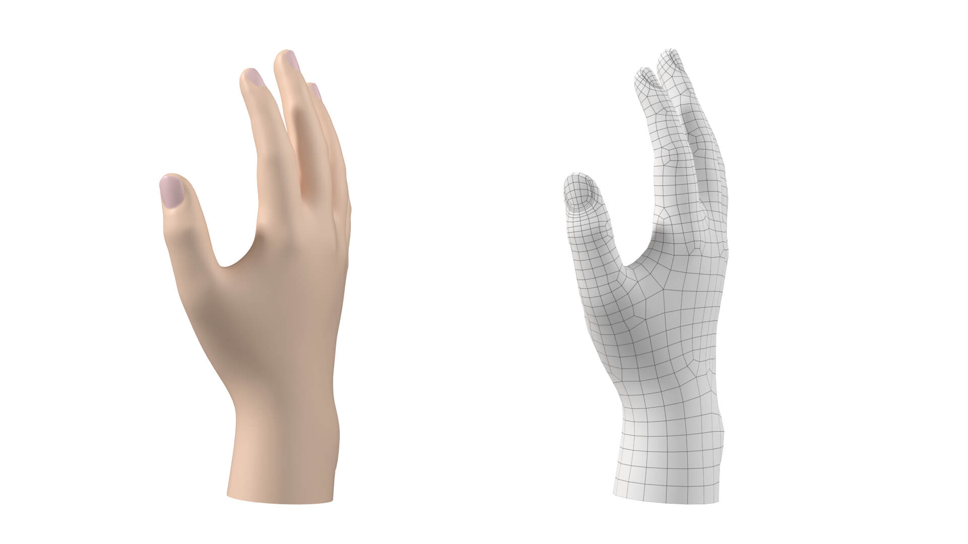 Male Hand Base Mesh 02 - 3D Model by Valerii-Kaliuzhnyi