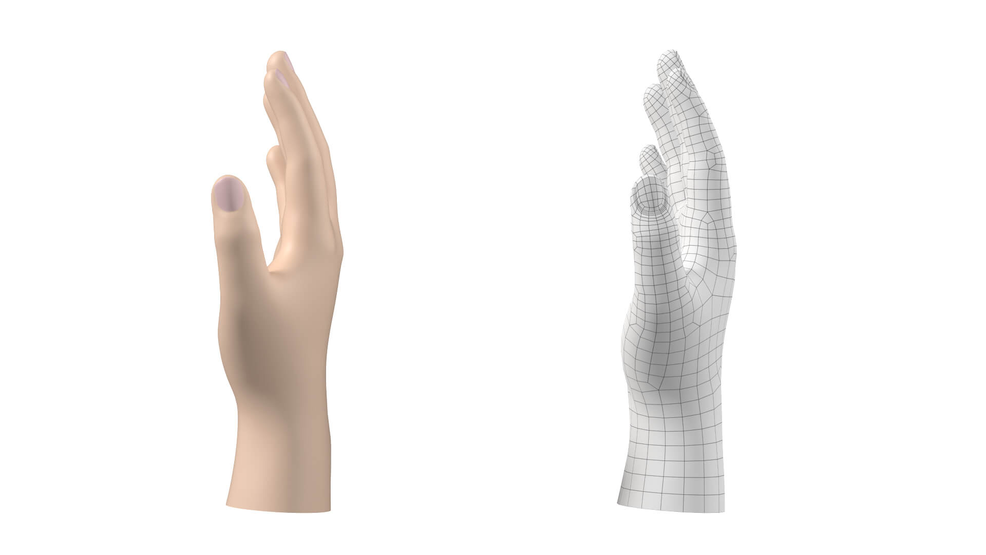 Male Hand Base Mesh 02 - 3D Model by Valerii-Kaliuzhnyi