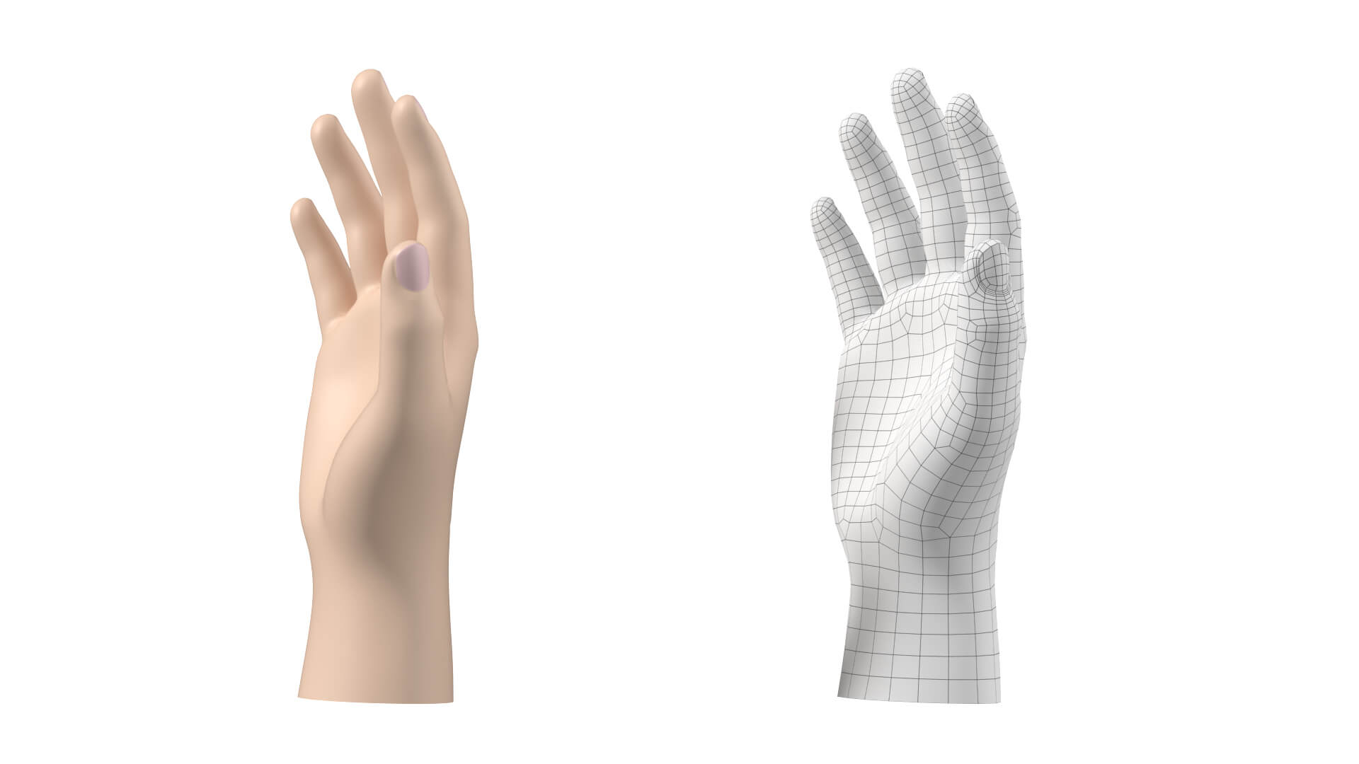 Male Hand Base Mesh 02 - 3D Model by Valerii-Kaliuzhnyi