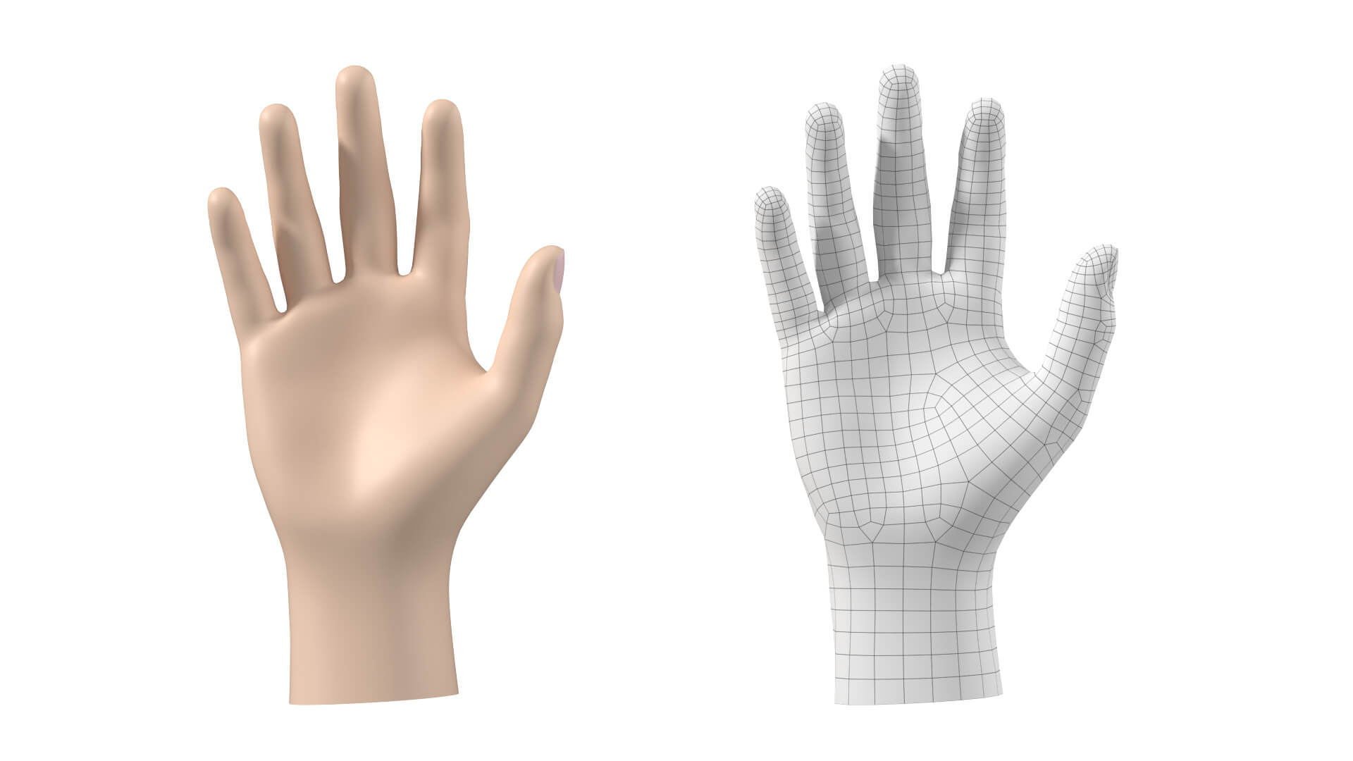 Male Hand Base Mesh 02 - 3D Model by Valerii-Kaliuzhnyi