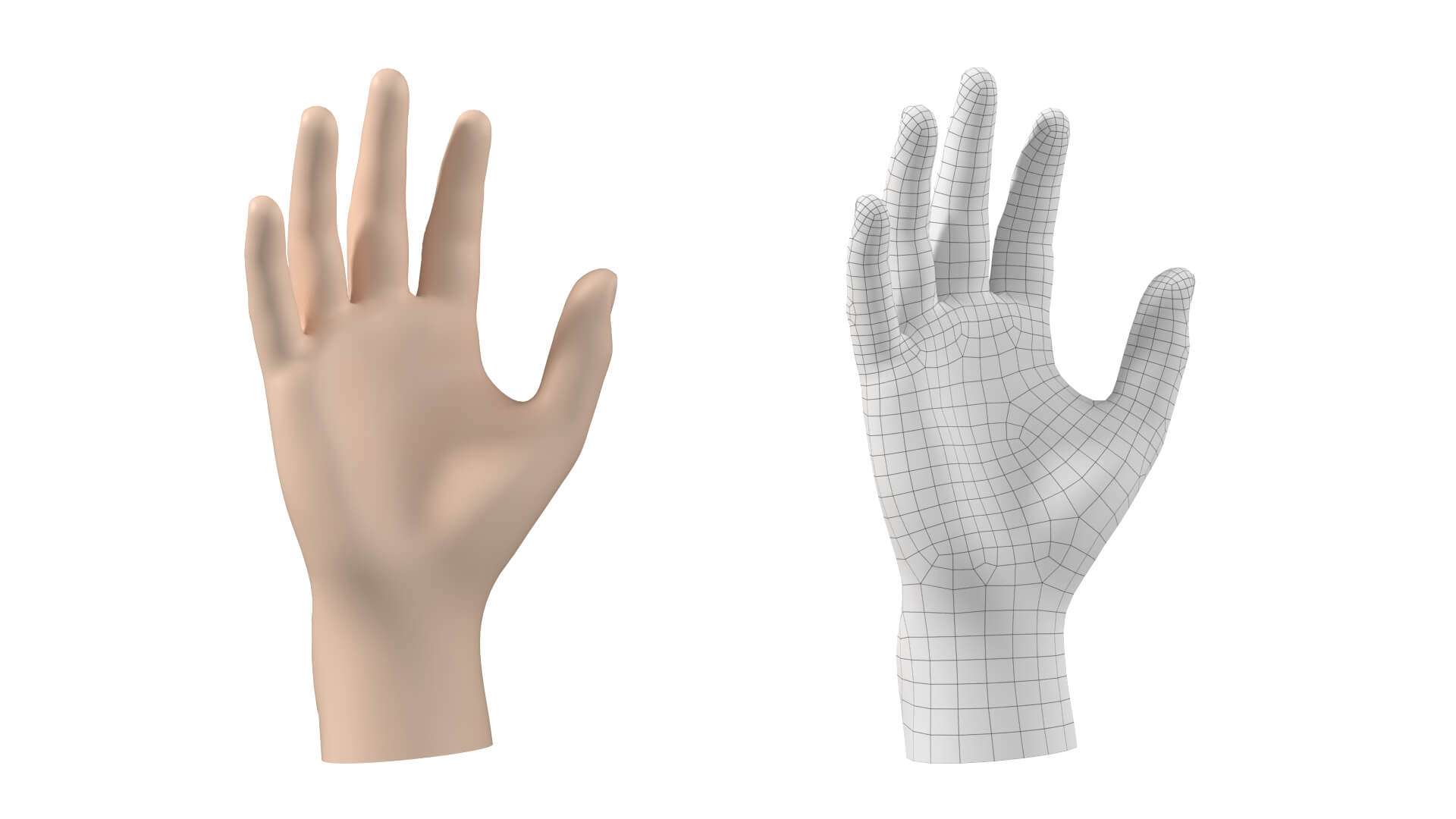 Male Hand Base Mesh 02 - 3D Model by Valerii-Kaliuzhnyi