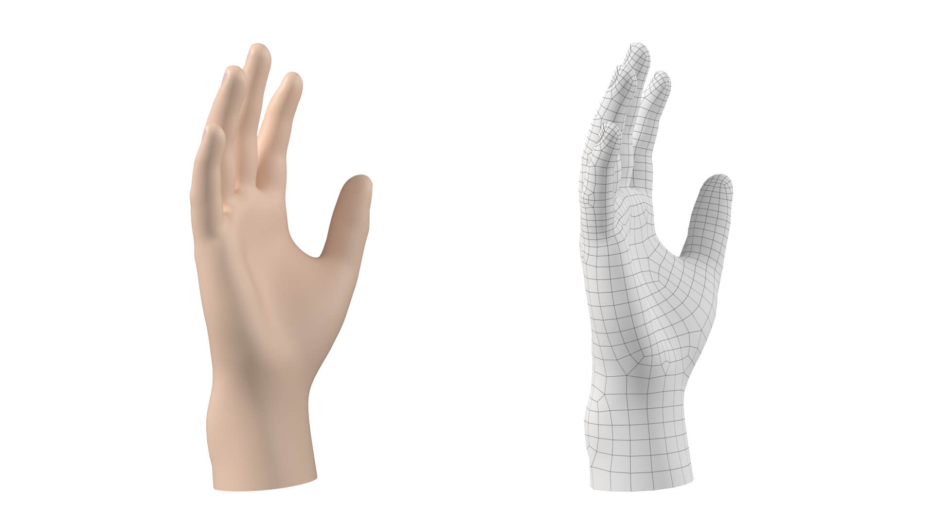 Male Hand Base Mesh 02 - 3D Model by Valerii-Kaliuzhnyi
