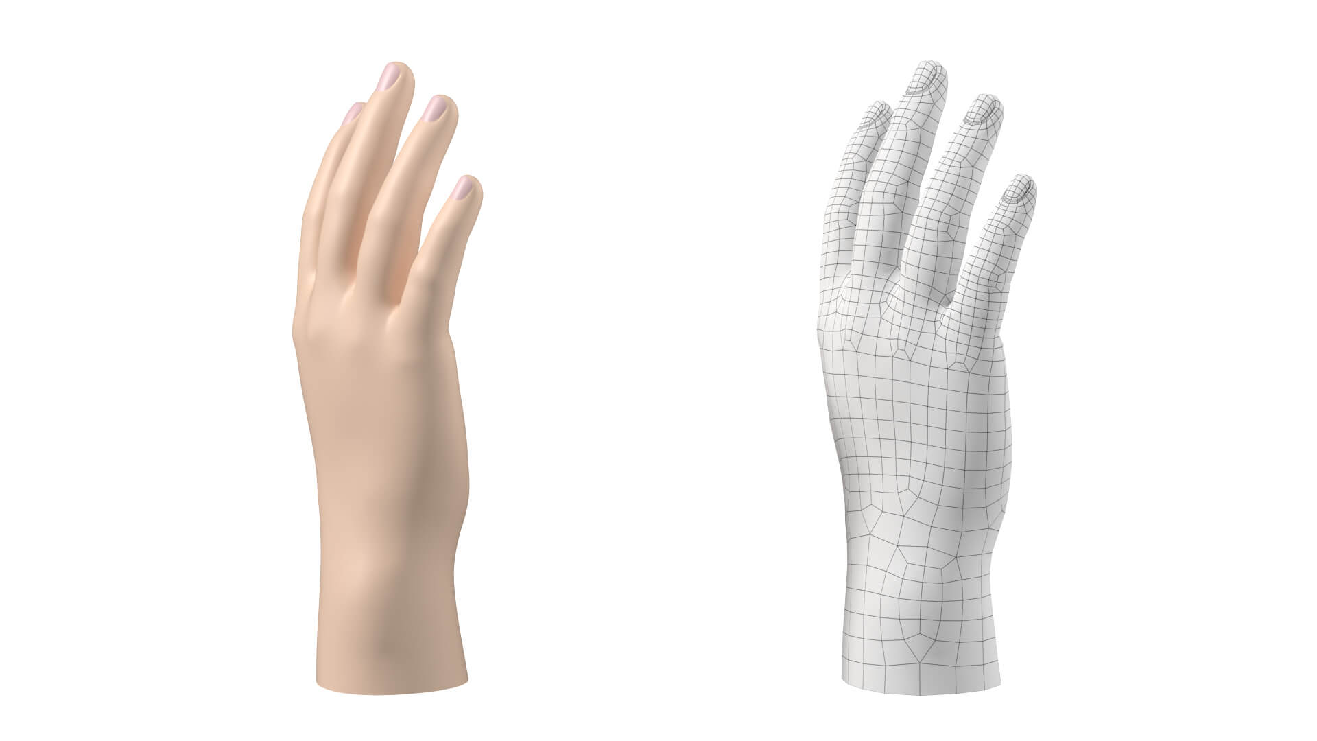 Male Hand Base Mesh 02 - 3D Model by Valerii-Kaliuzhnyi