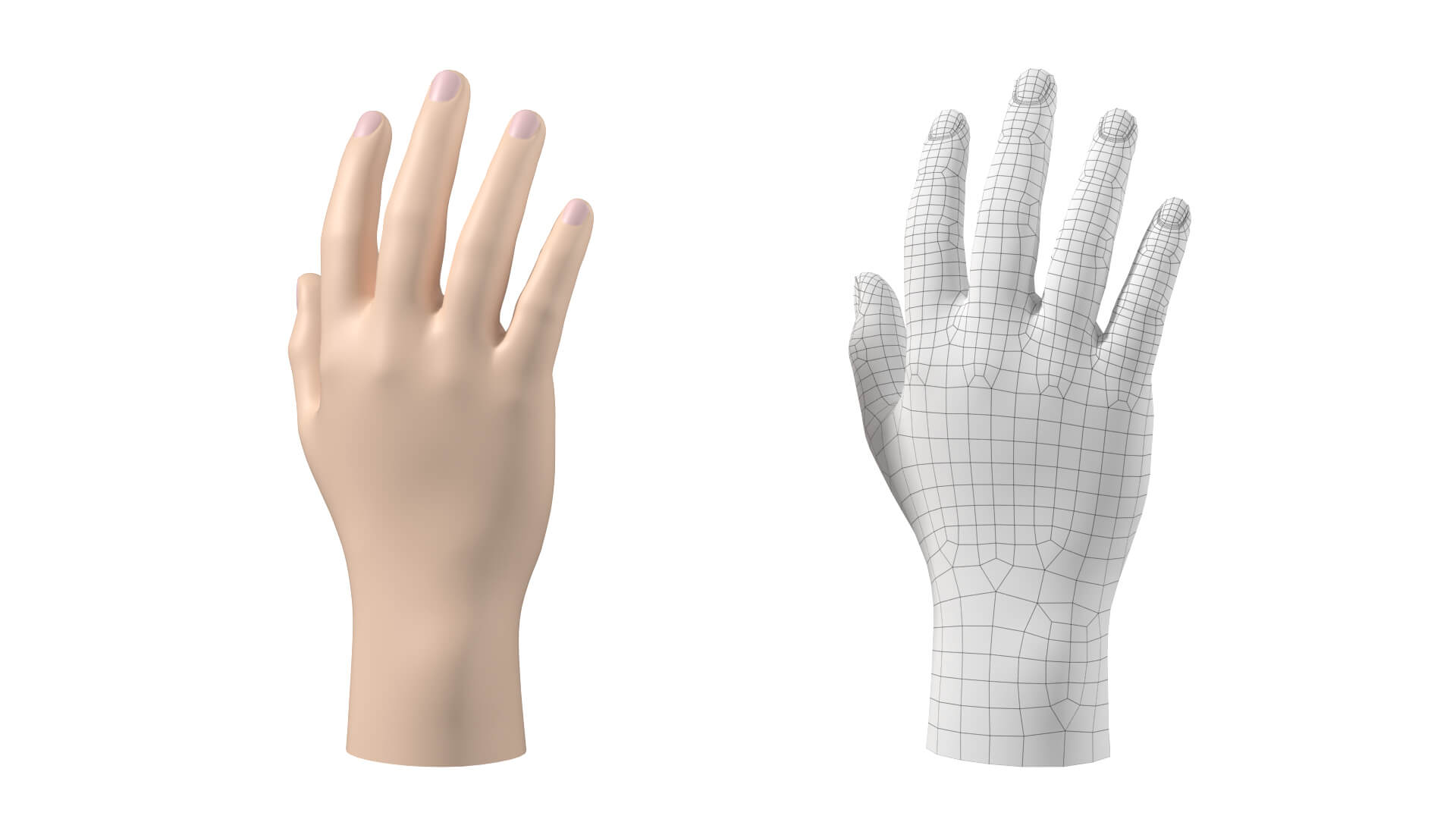 Male Hand Base Mesh 02 - 3D Model by Valerii-Kaliuzhnyi