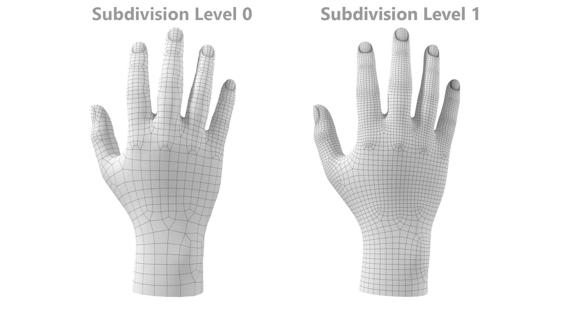 Male Hand Base Mesh 02 - 3D Model by Valerii-Kaliuzhnyi